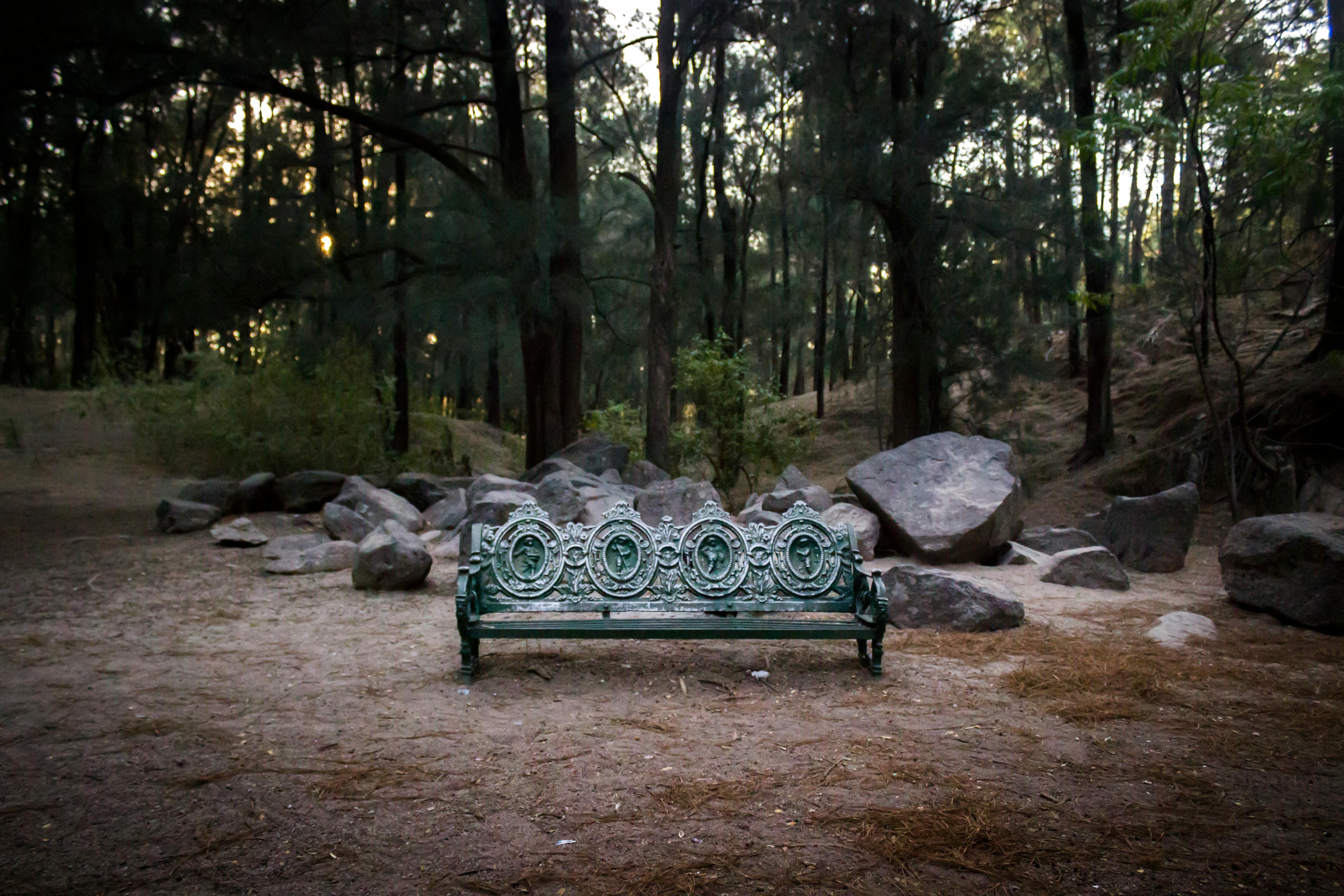 Free stock photo of bench, forest, nature