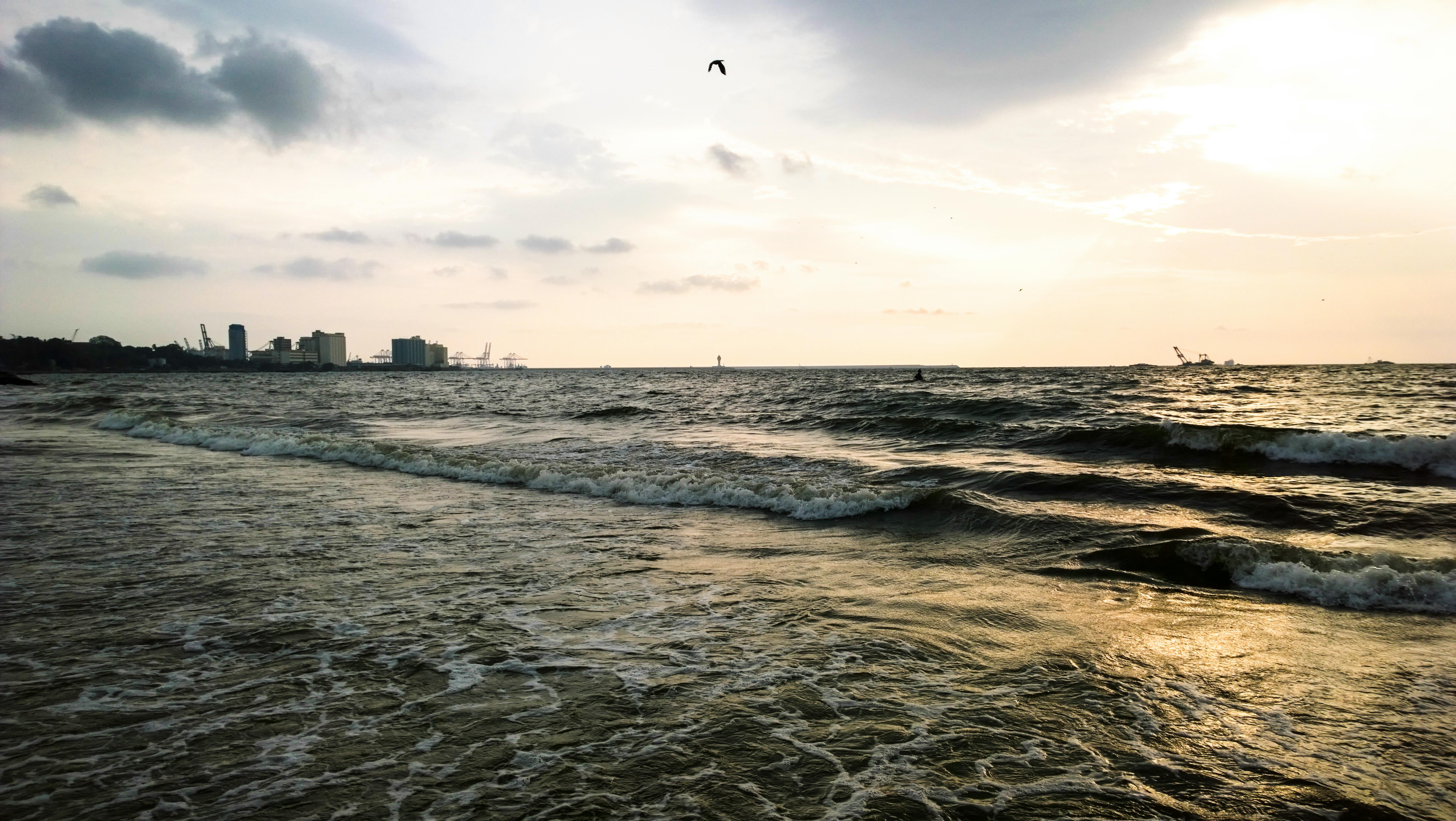 Free stock photo of 1020, beach, crow island