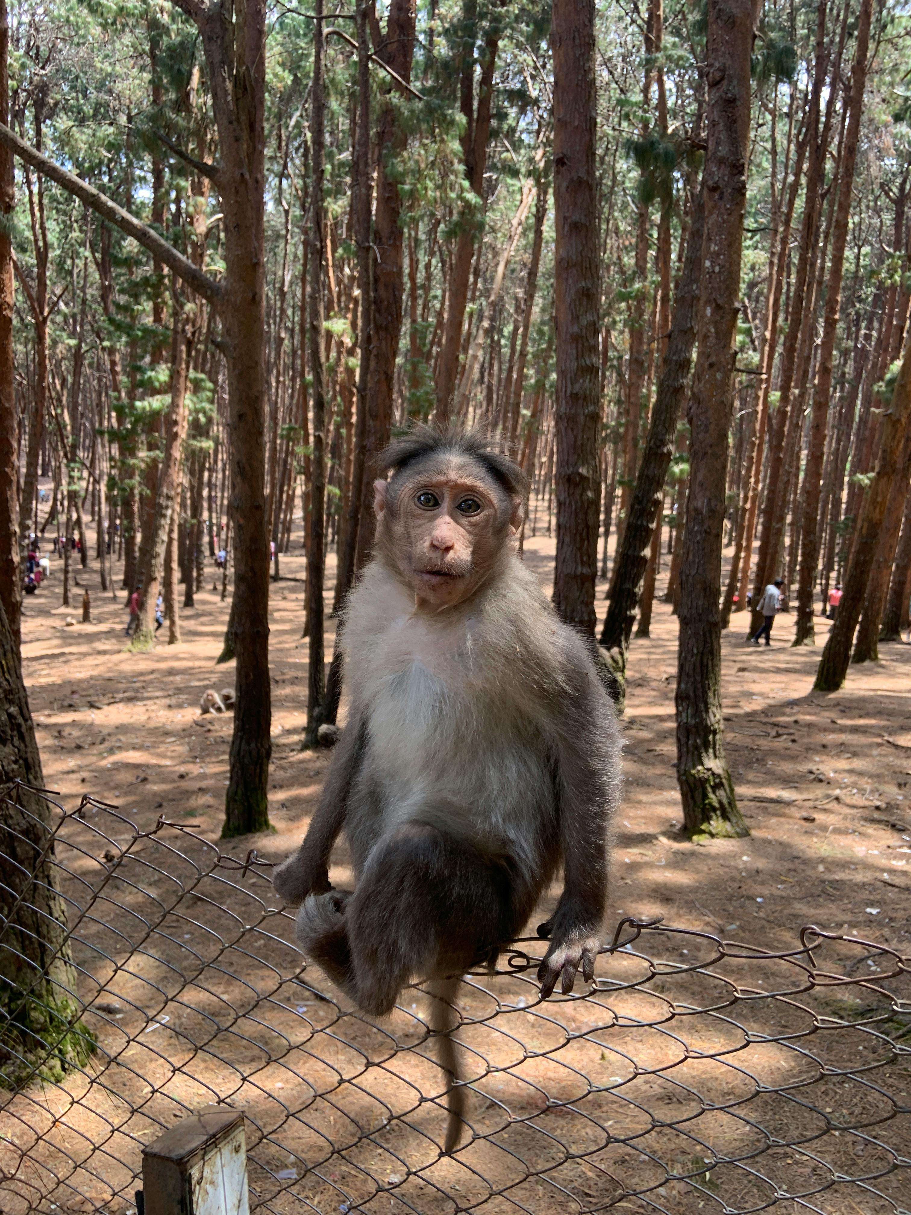 A.Vasantha Kumar - 摄影