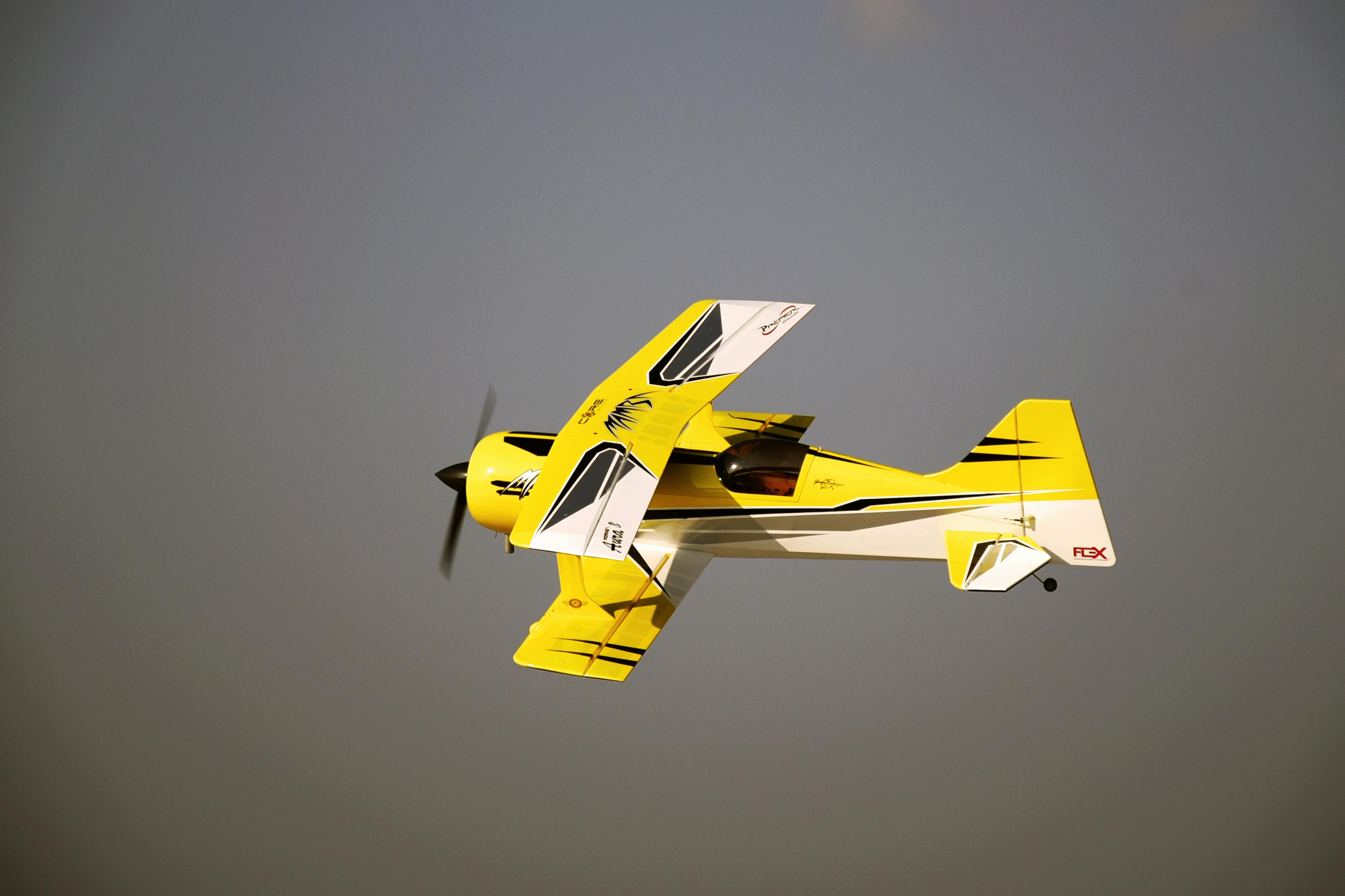 Anamitra Dasgupta - 사진