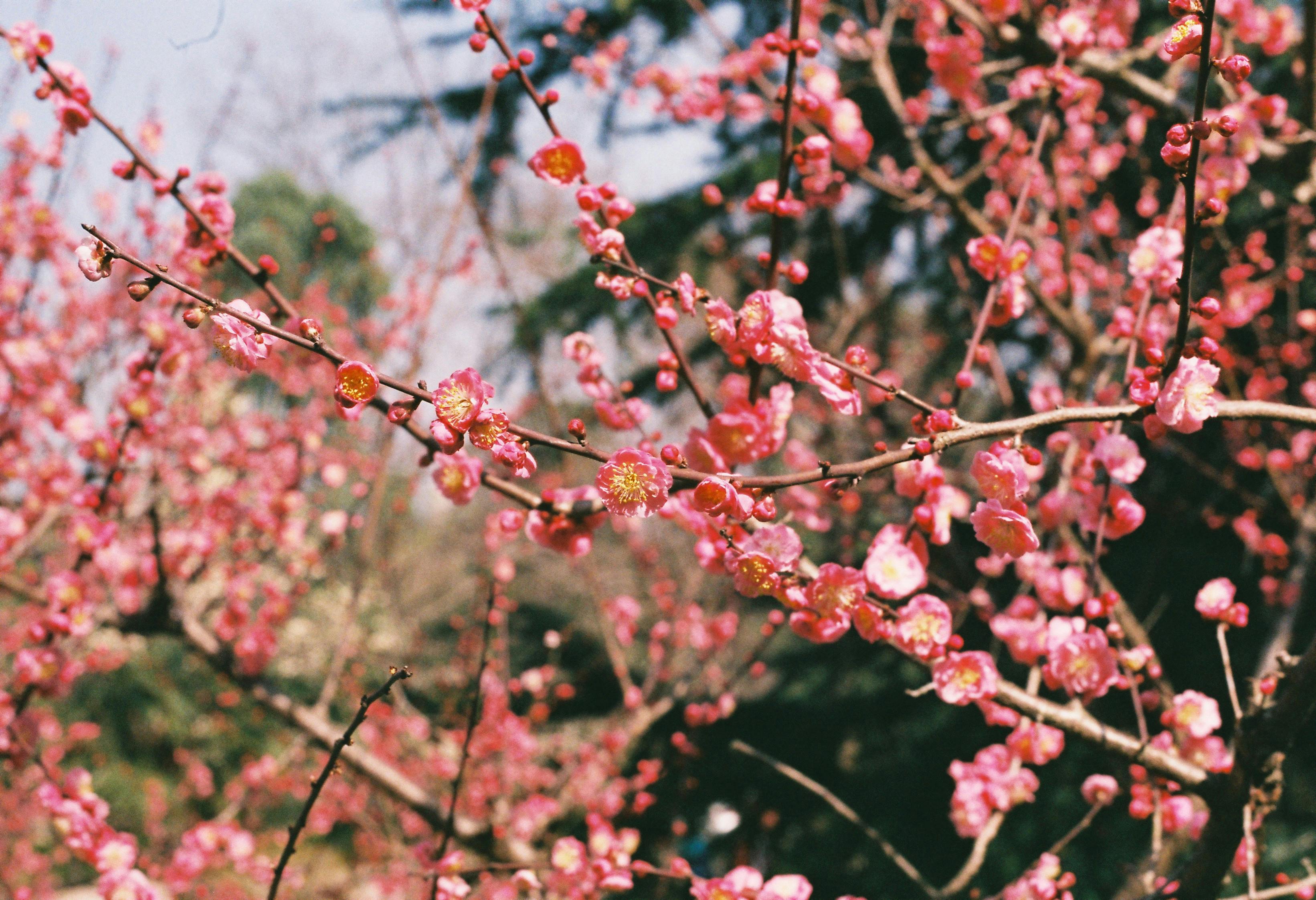 Concrete Temple · Free Stock Photo