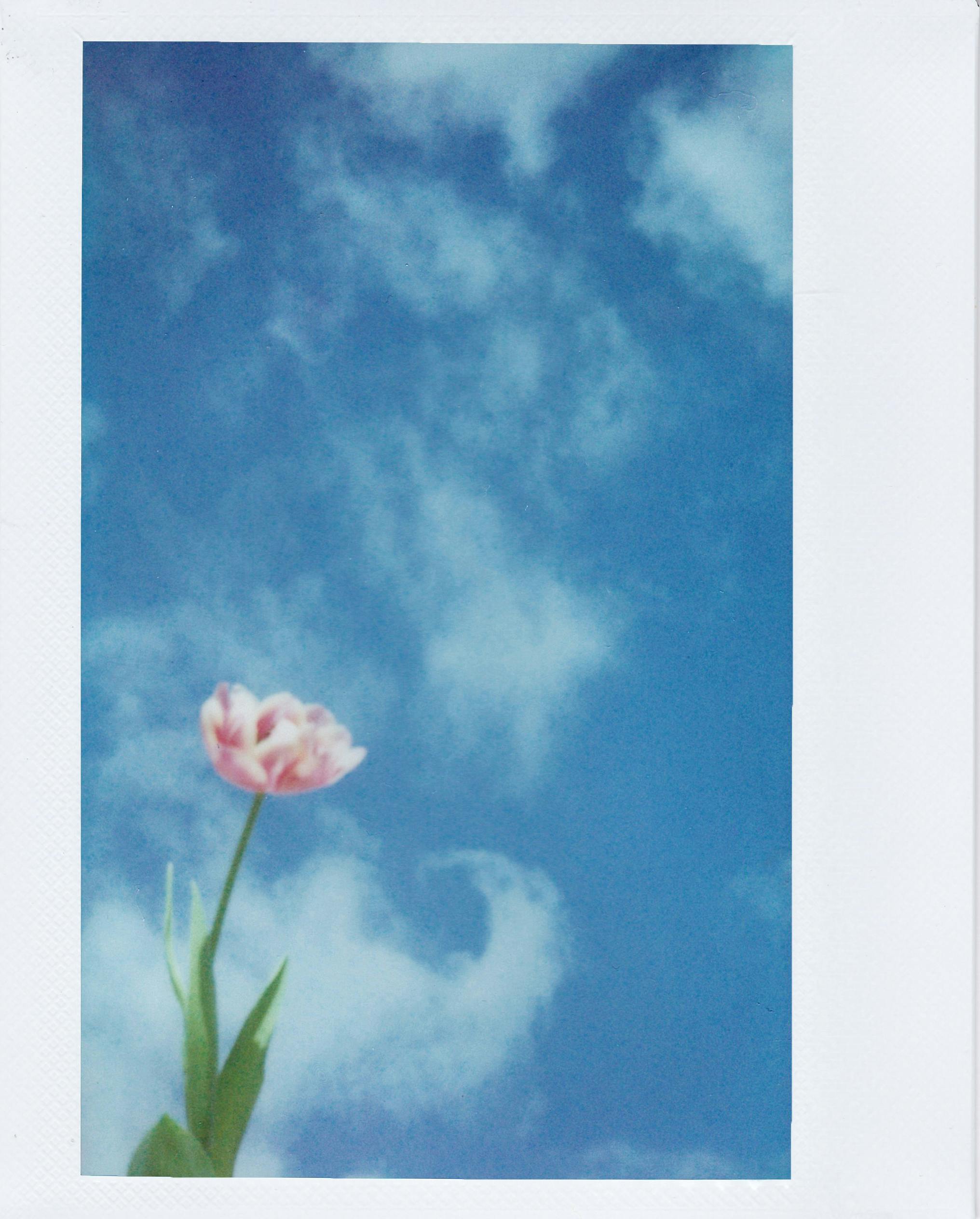 Abstract Polaroid Photo in Shades of Blue · Free Stock Photo
