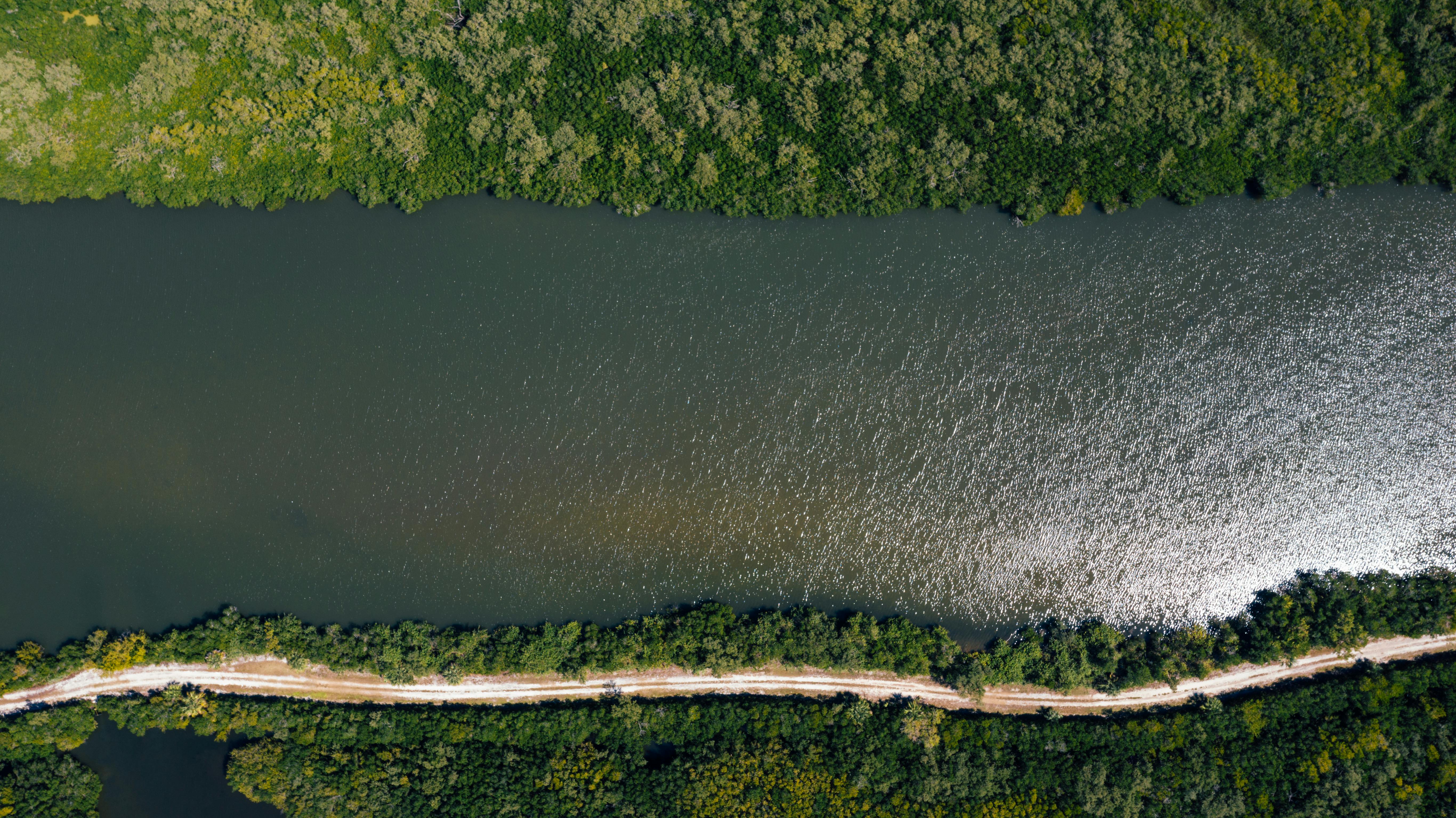 Breathtaking view of river between green forest and pathway · Free ...