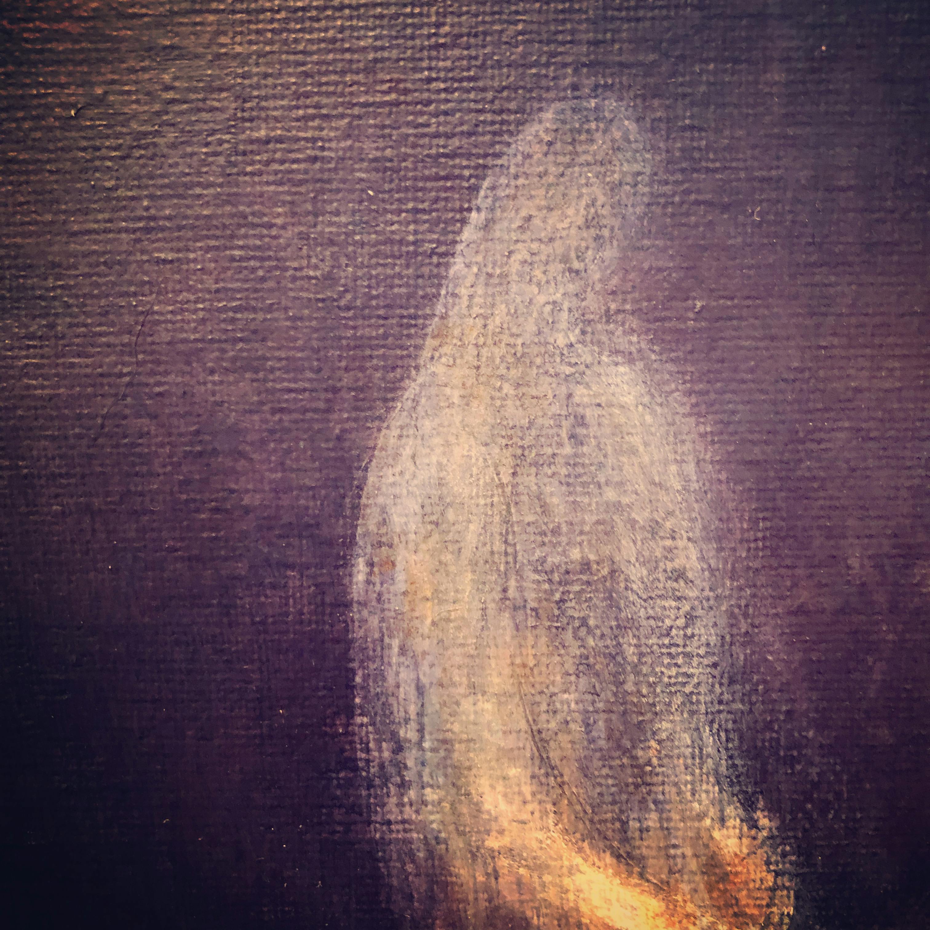 21° in Sabian Symbols · Pexels