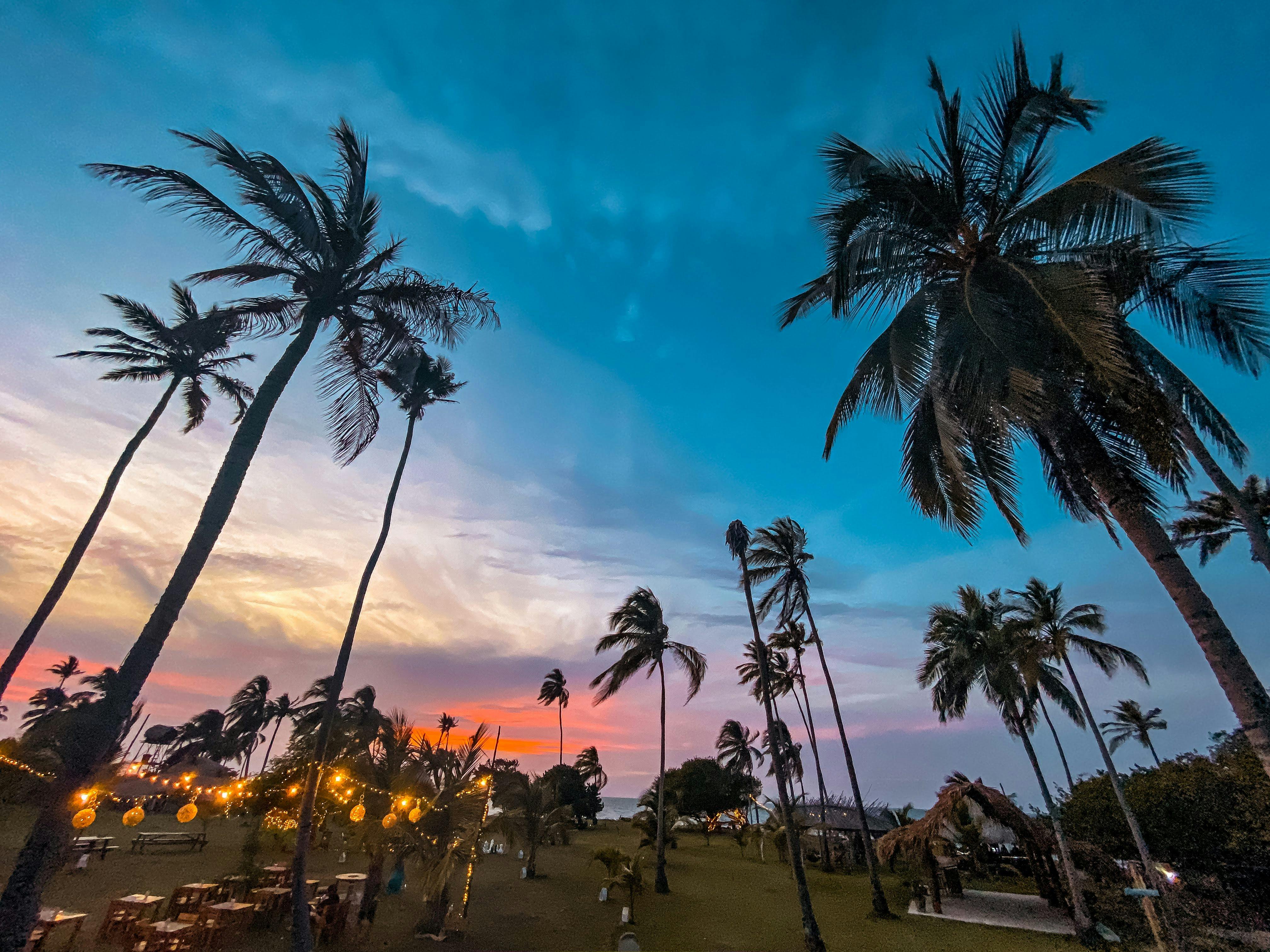 Summer Li - Photography