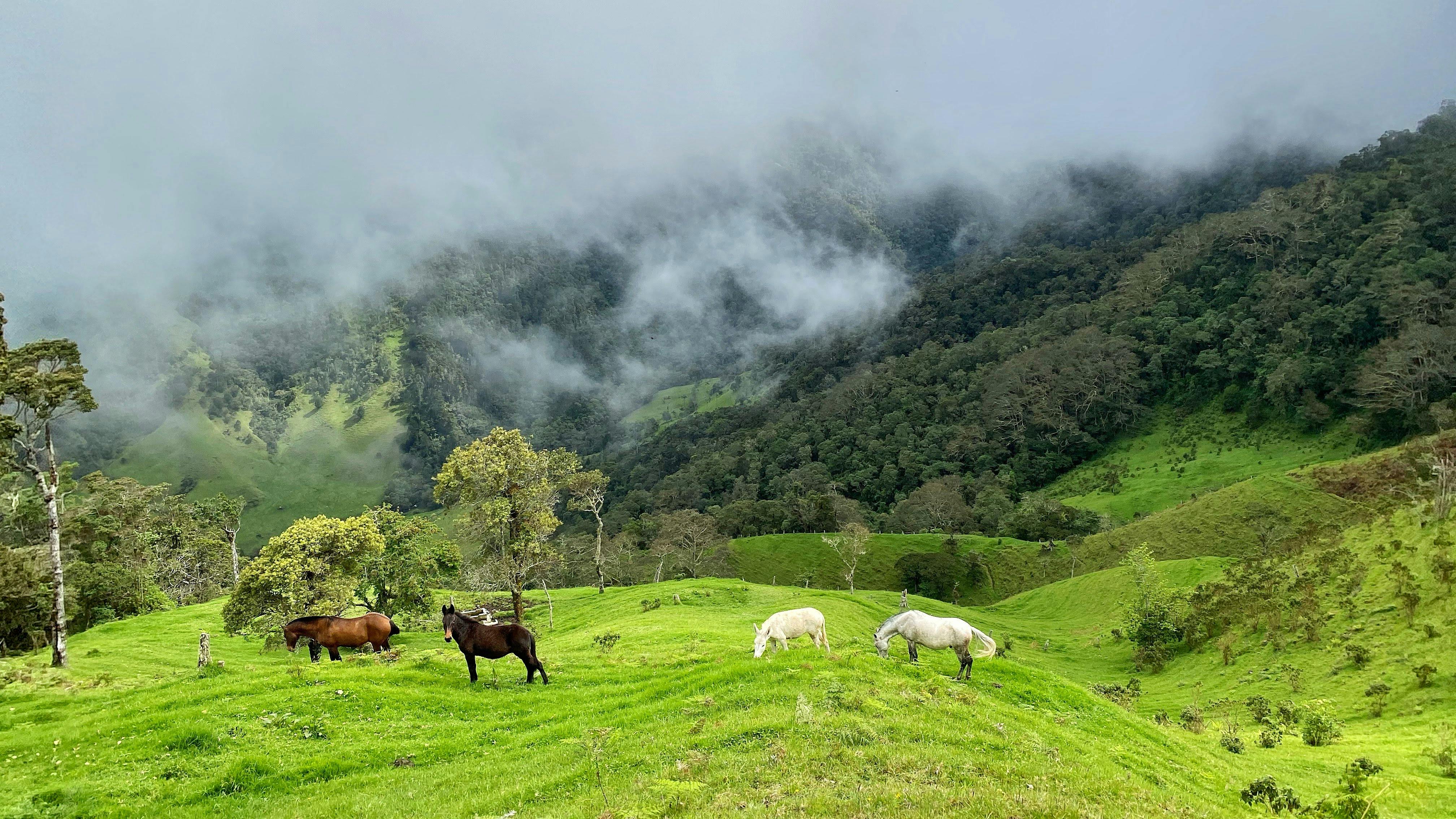 Summer Li - Photography