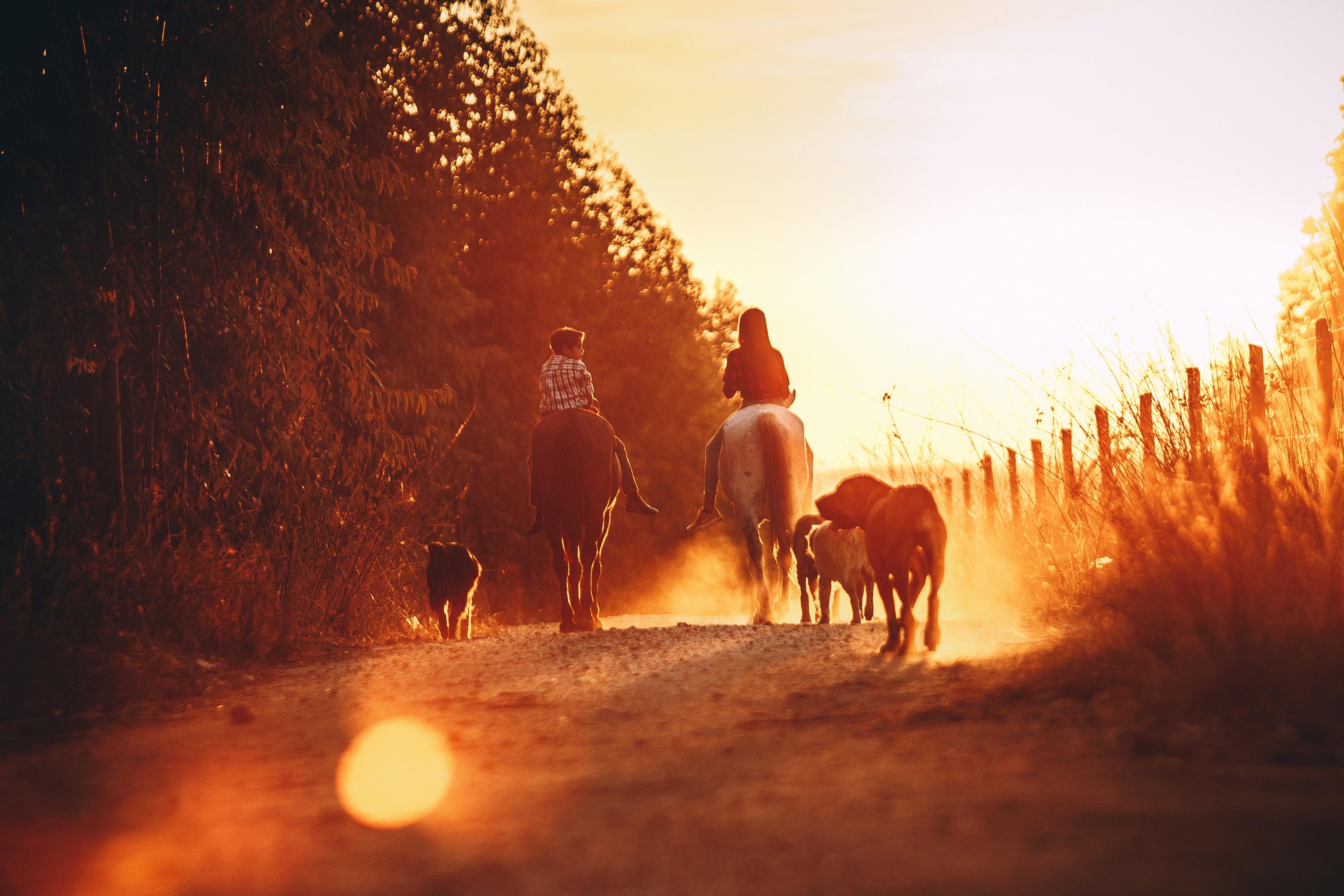 People Riding Horses during Sunset · Free Stock Photo
