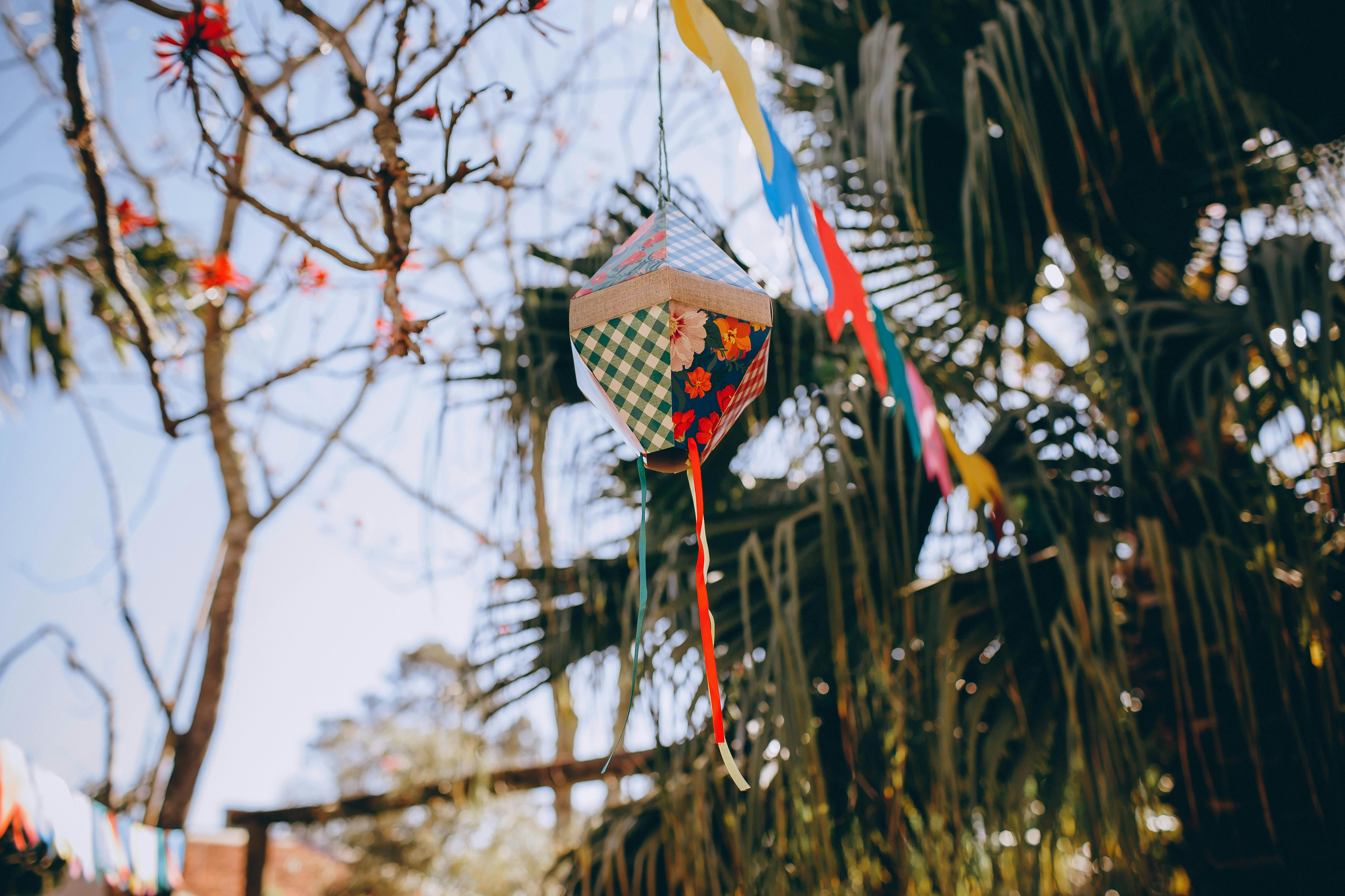 Handmade paper lantern hanging on tree · Free Stock Photo