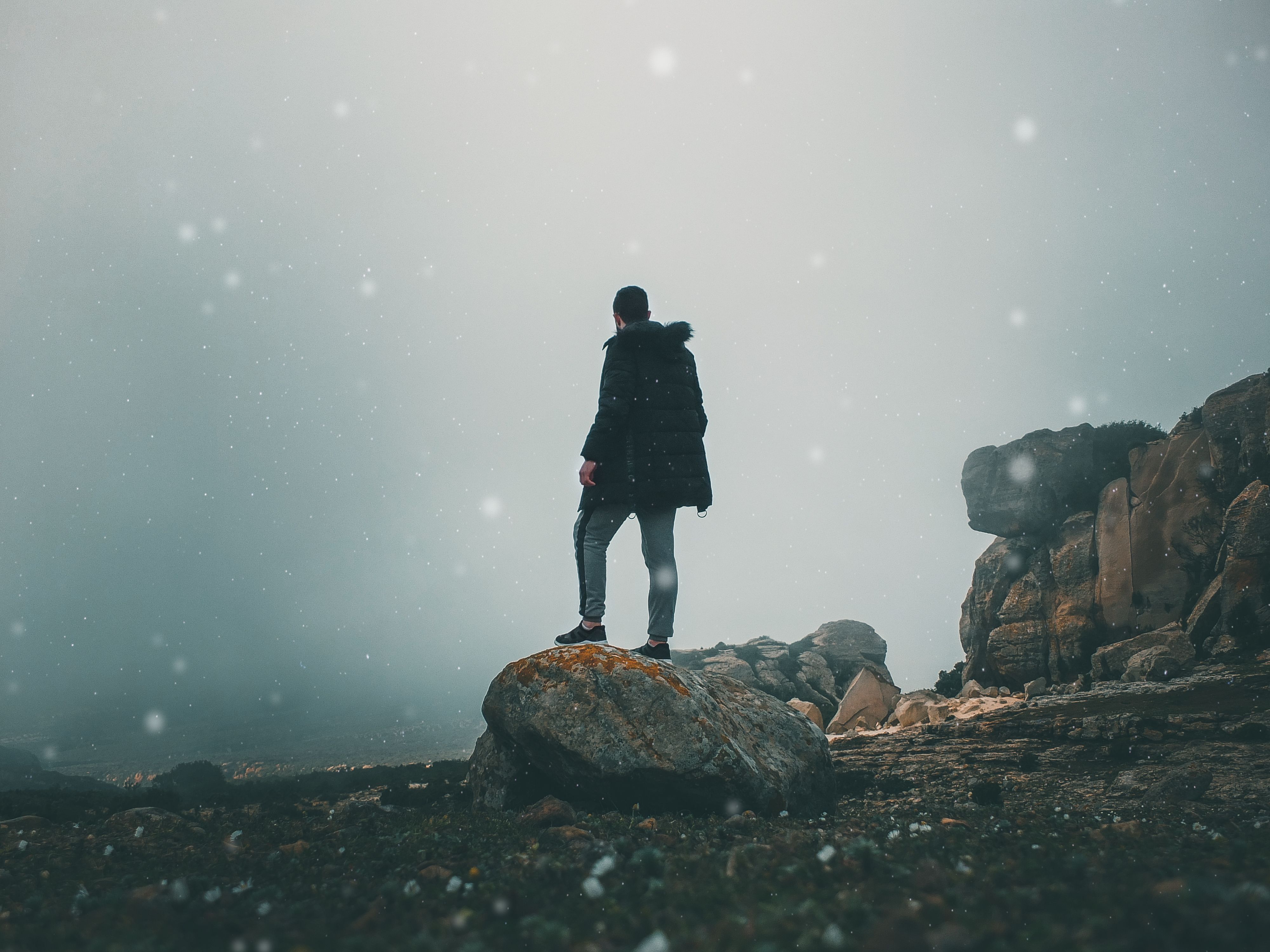Lonely Lovers With Nature Photos, Download Free Lonely Lovers With ...