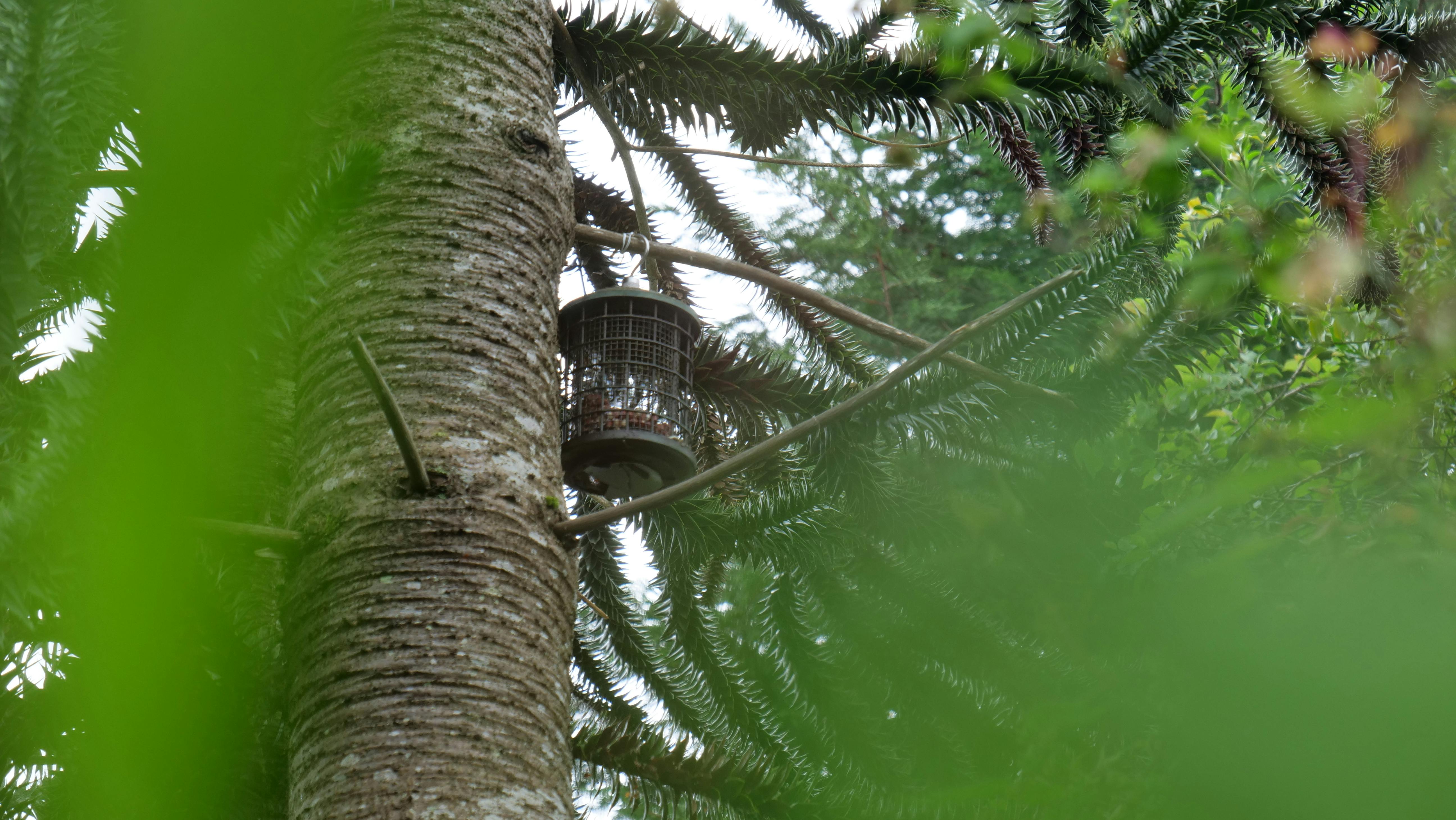 Andrew Crossley - fotografia