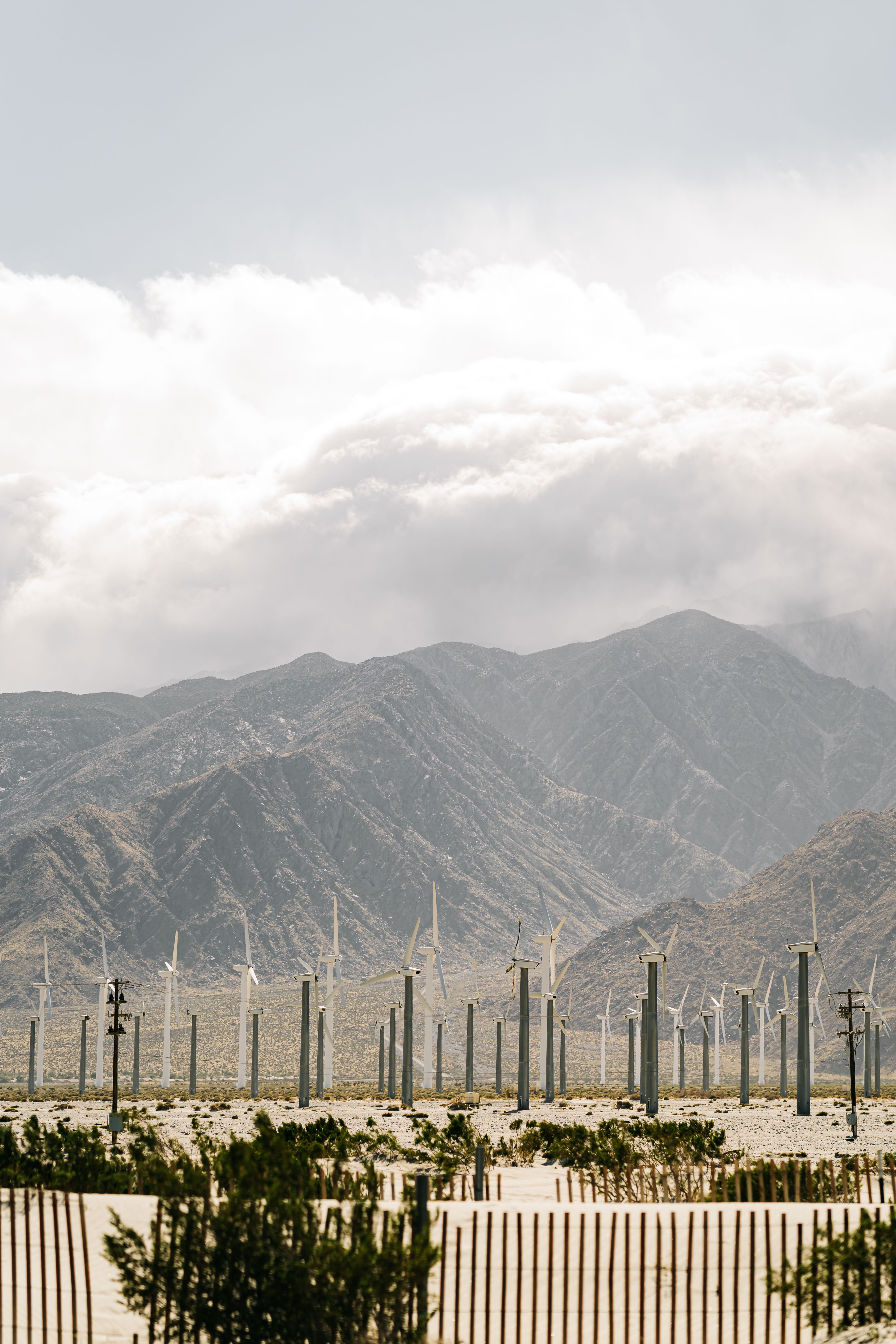 Sustainable Photos, Download The BEST Free Sustainable Stock Photos ...