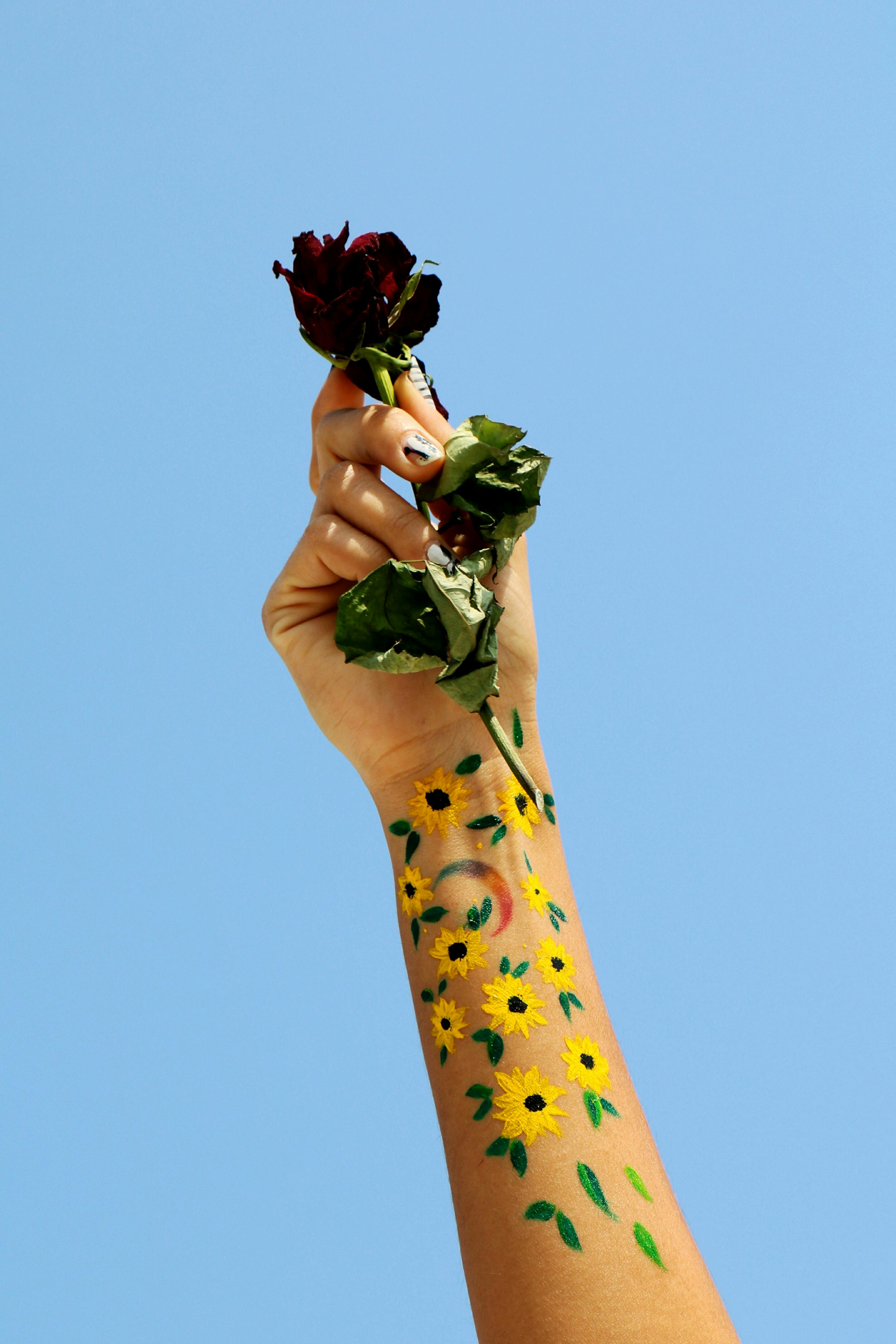 Person Holding A Red Rose · Free Stock Photo