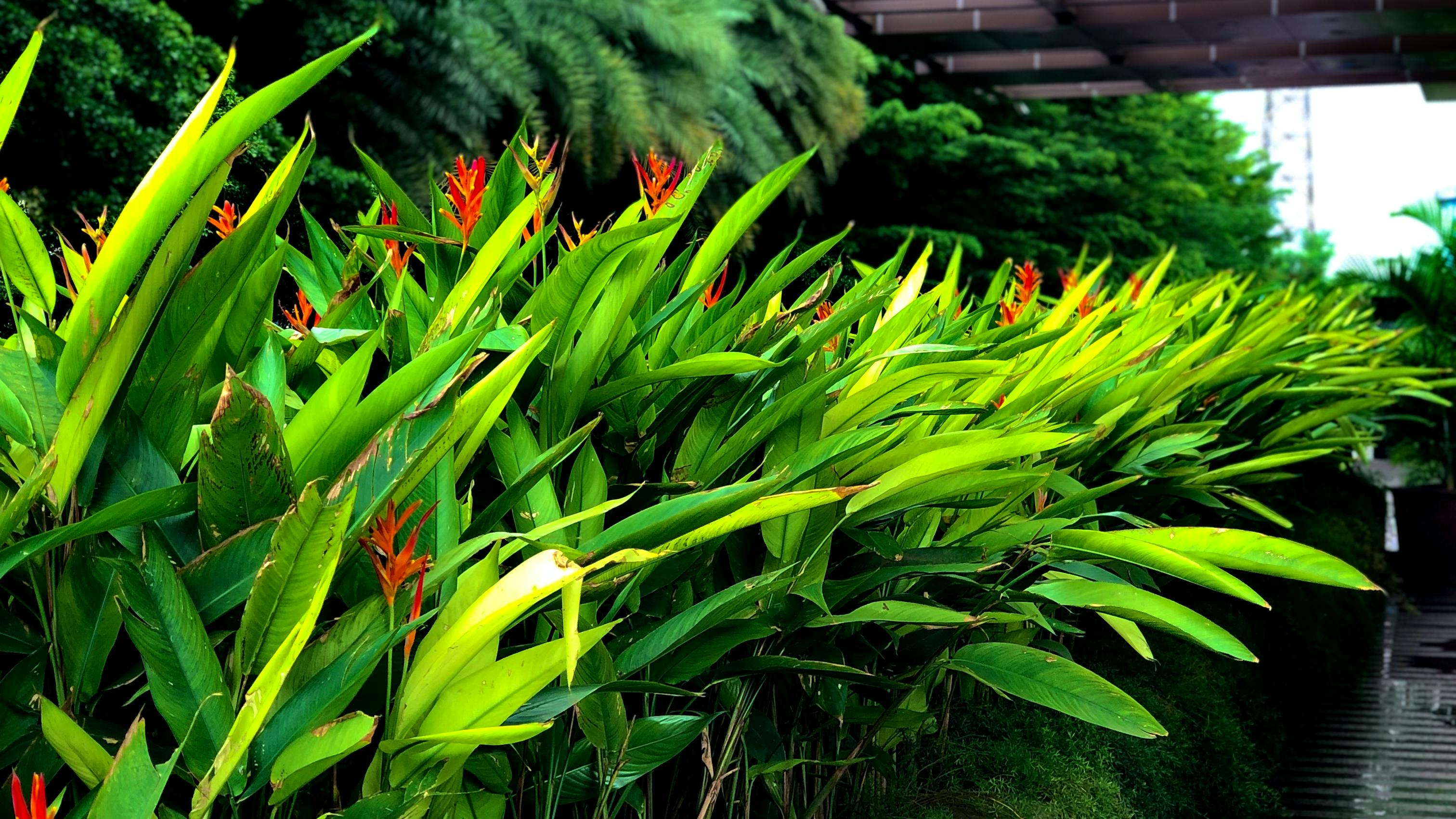 Shubham Dutta - Photography Shubham Dutta - Photography