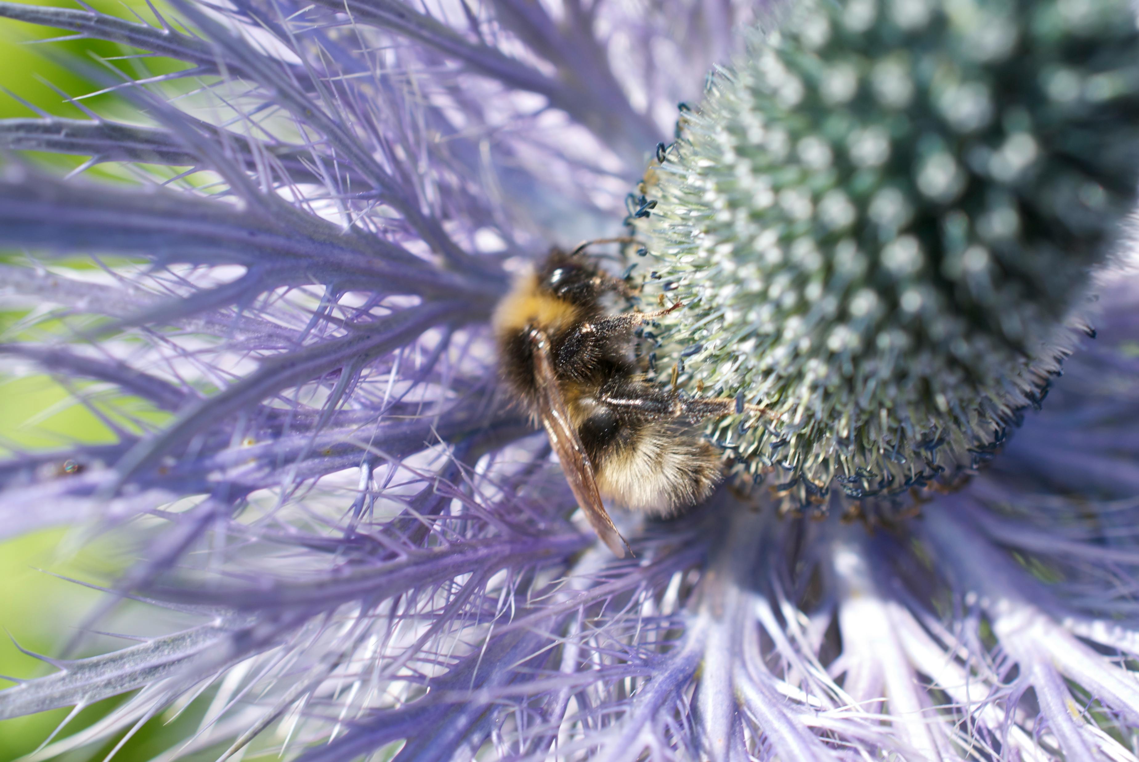 Serji K - Photography