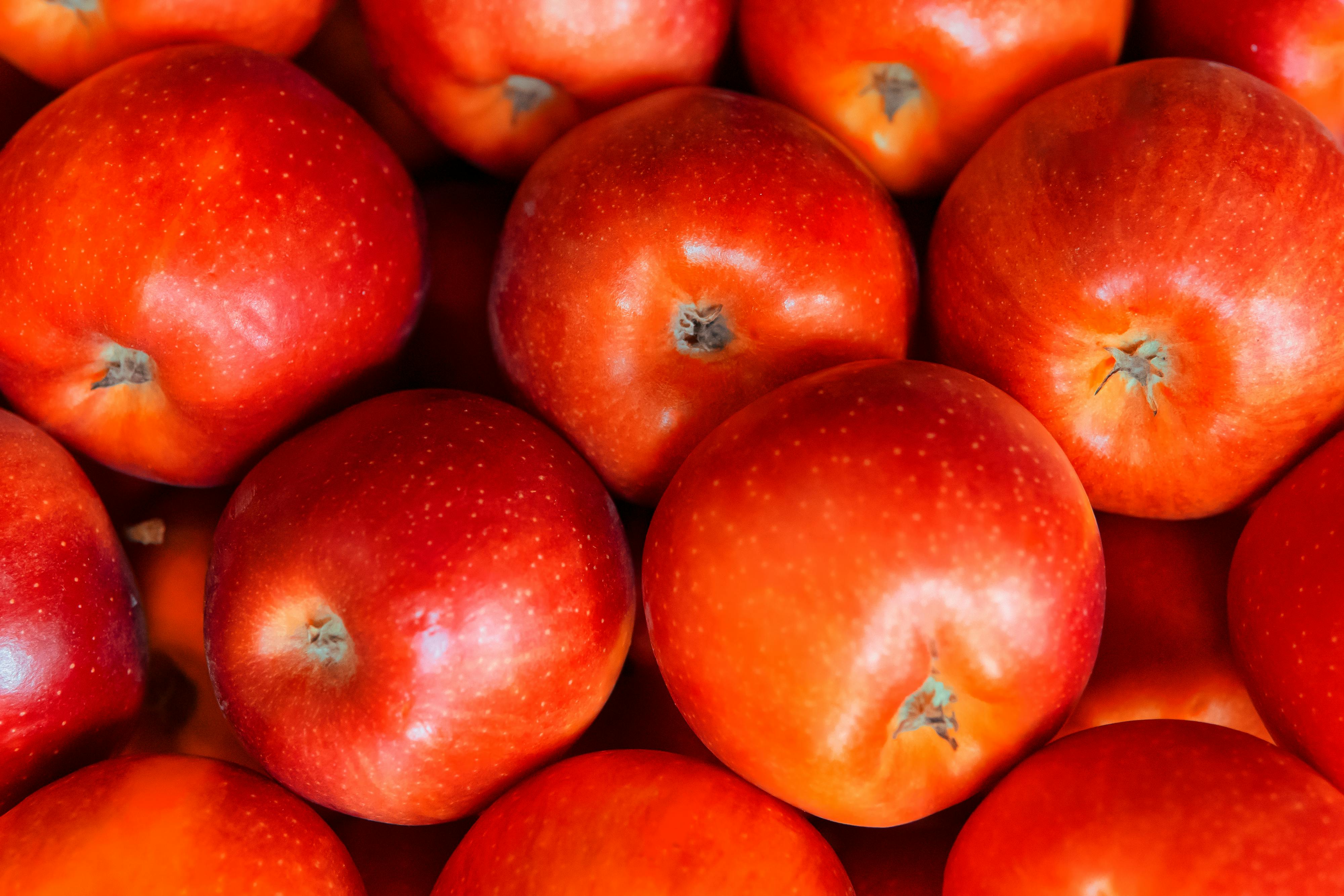 Red Apple Fruits · Free Stock Photo