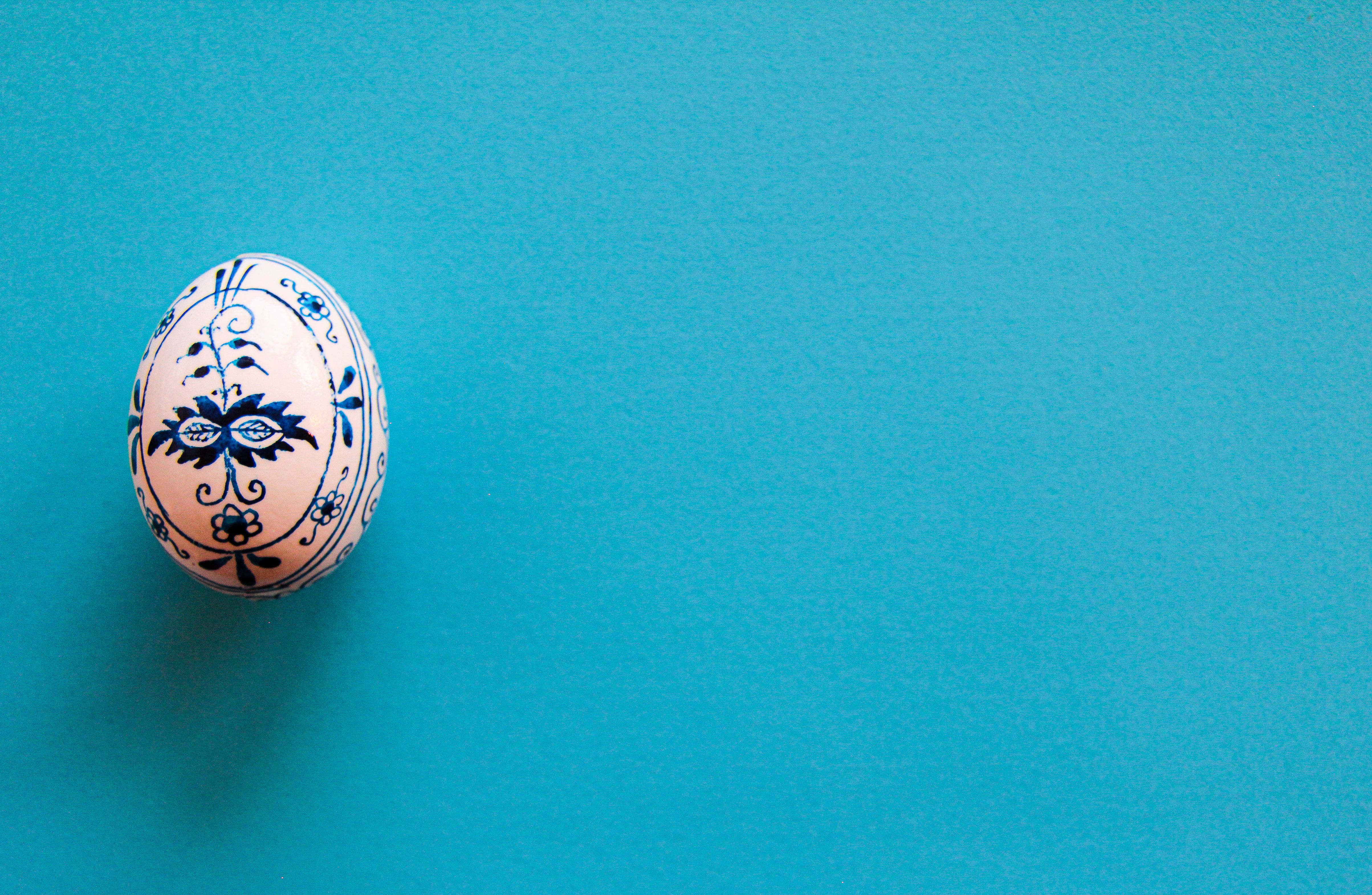 Free stock photo of blue, color background, easter