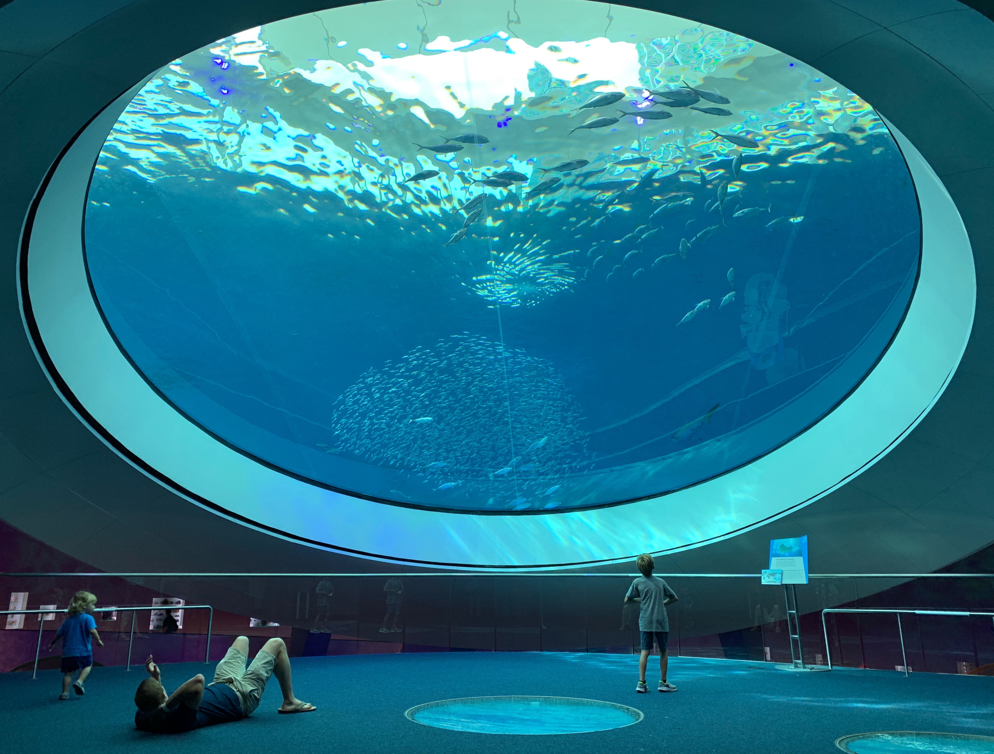 People Visiting An Aquarium · Free Stock Photo