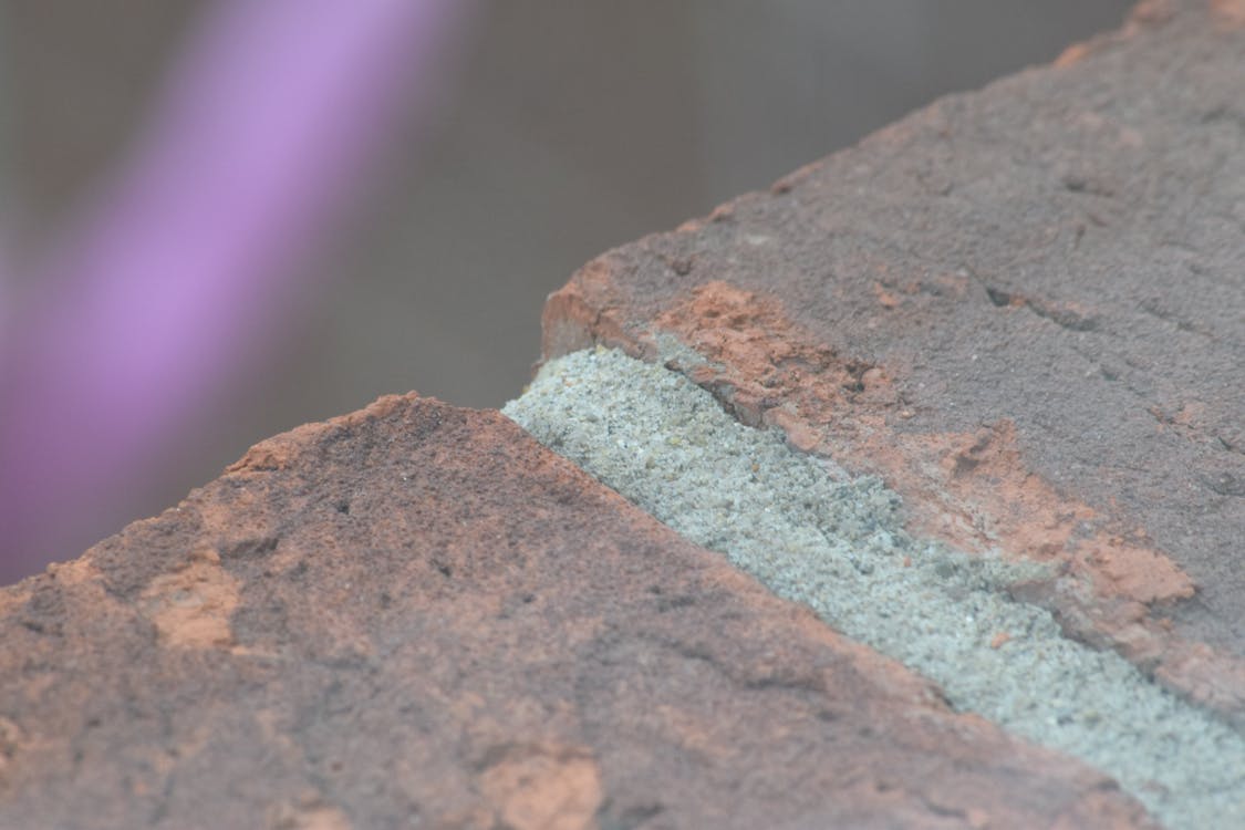 Free Stock Photo From Adi Pexels free-stock-photo-from-adi-pexels