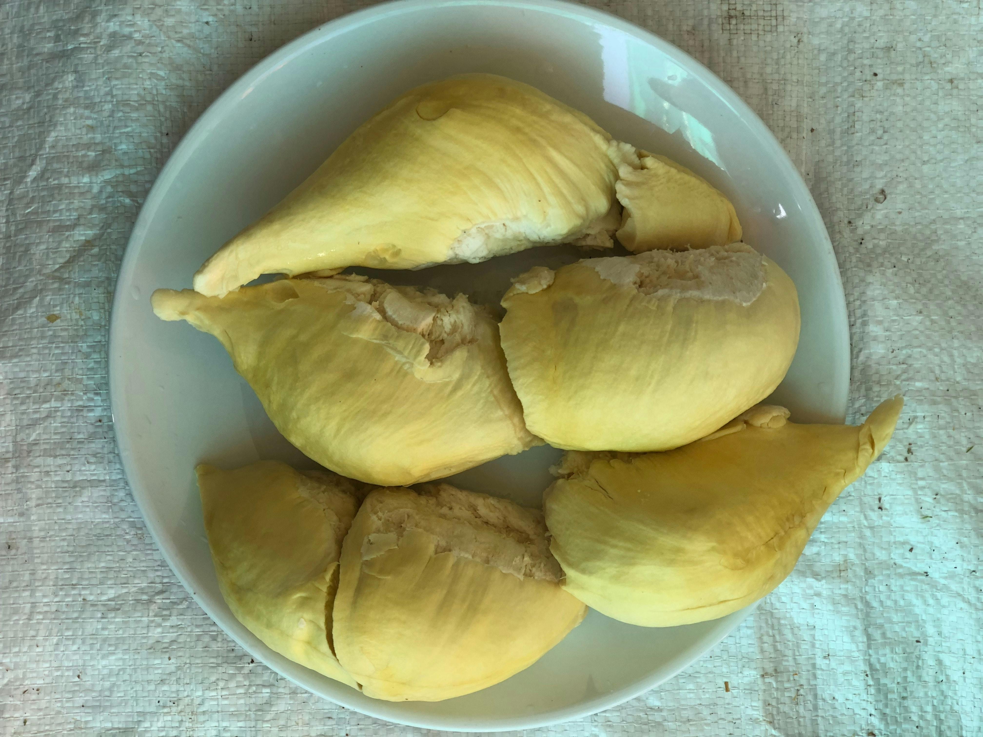 pipol pipol molla - 攝影