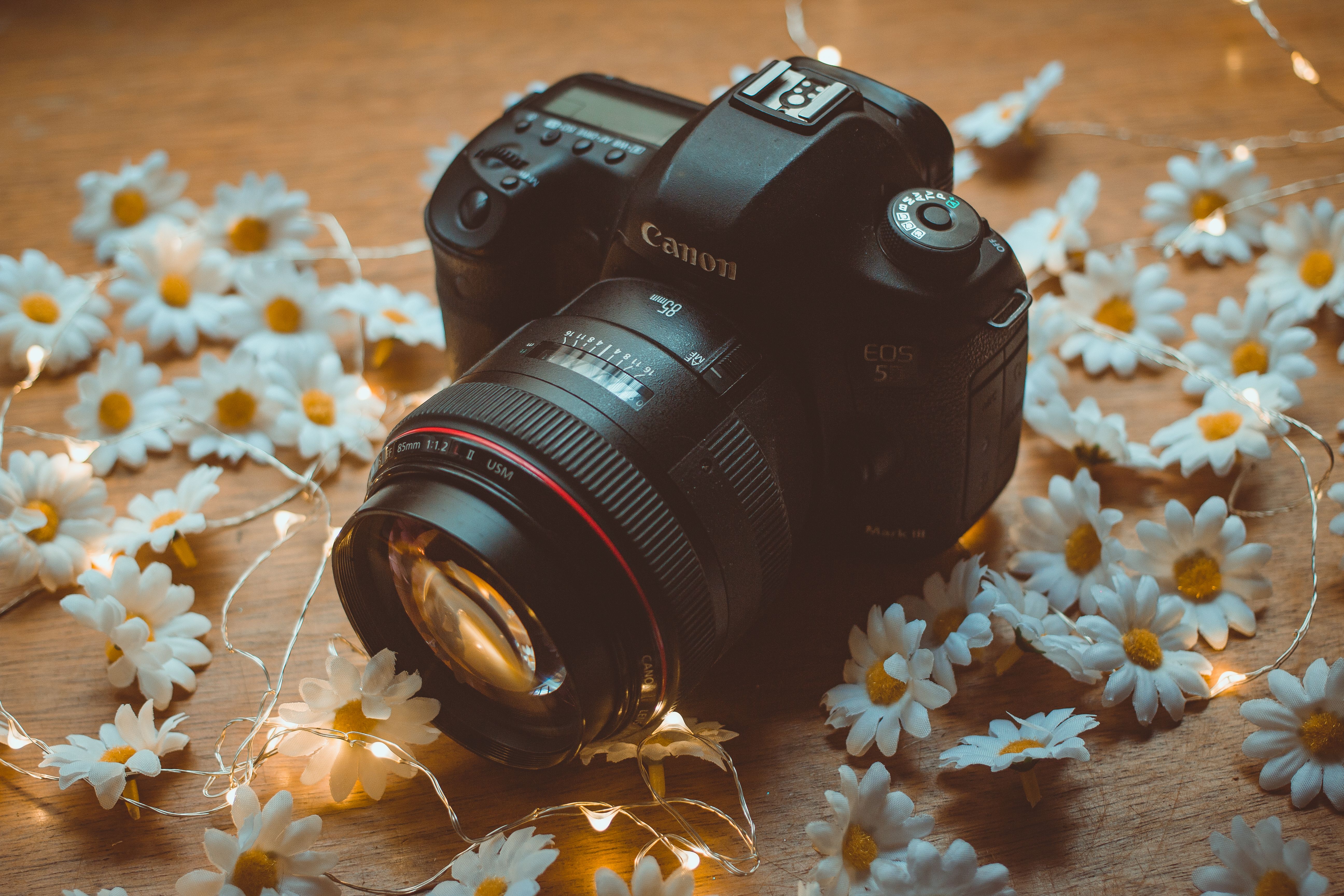 Black Dslr Camera Taking Photo of Orange Flowers in Clear Glass Flower ...