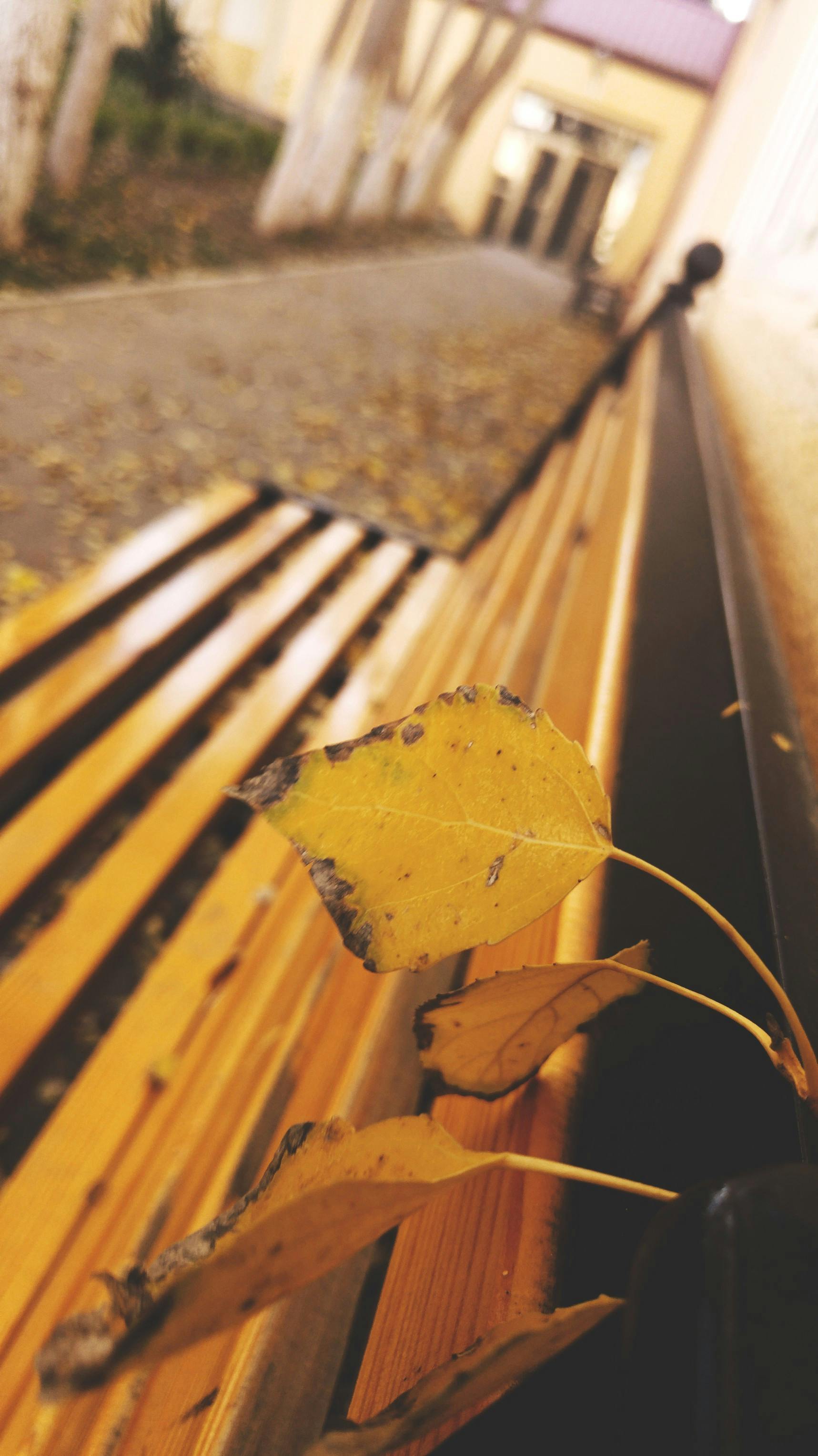Man in Black Puffer Jacket and Distress Jeans Sitting in Couch · Free ...