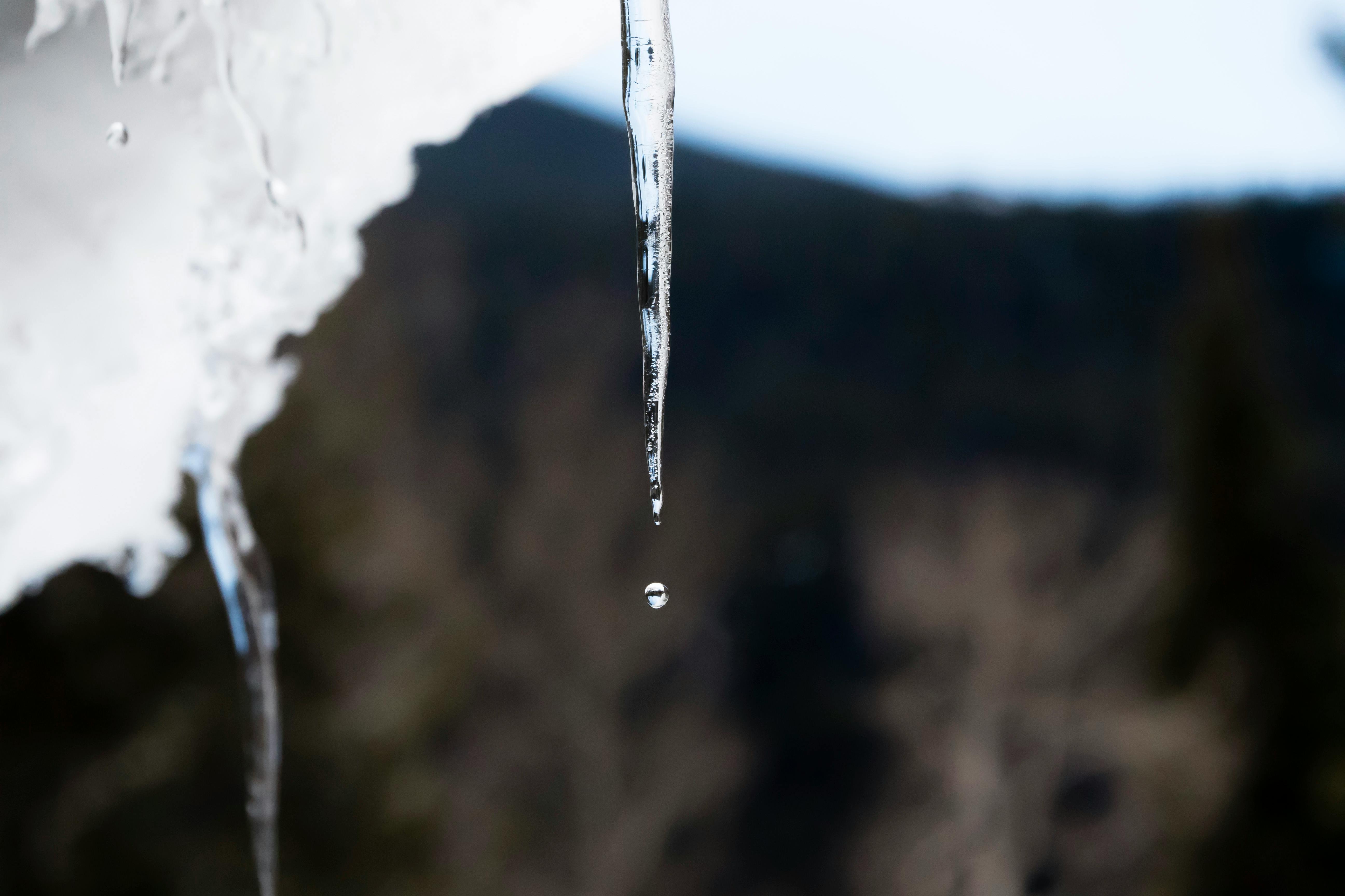 Eric Versaw - 사진