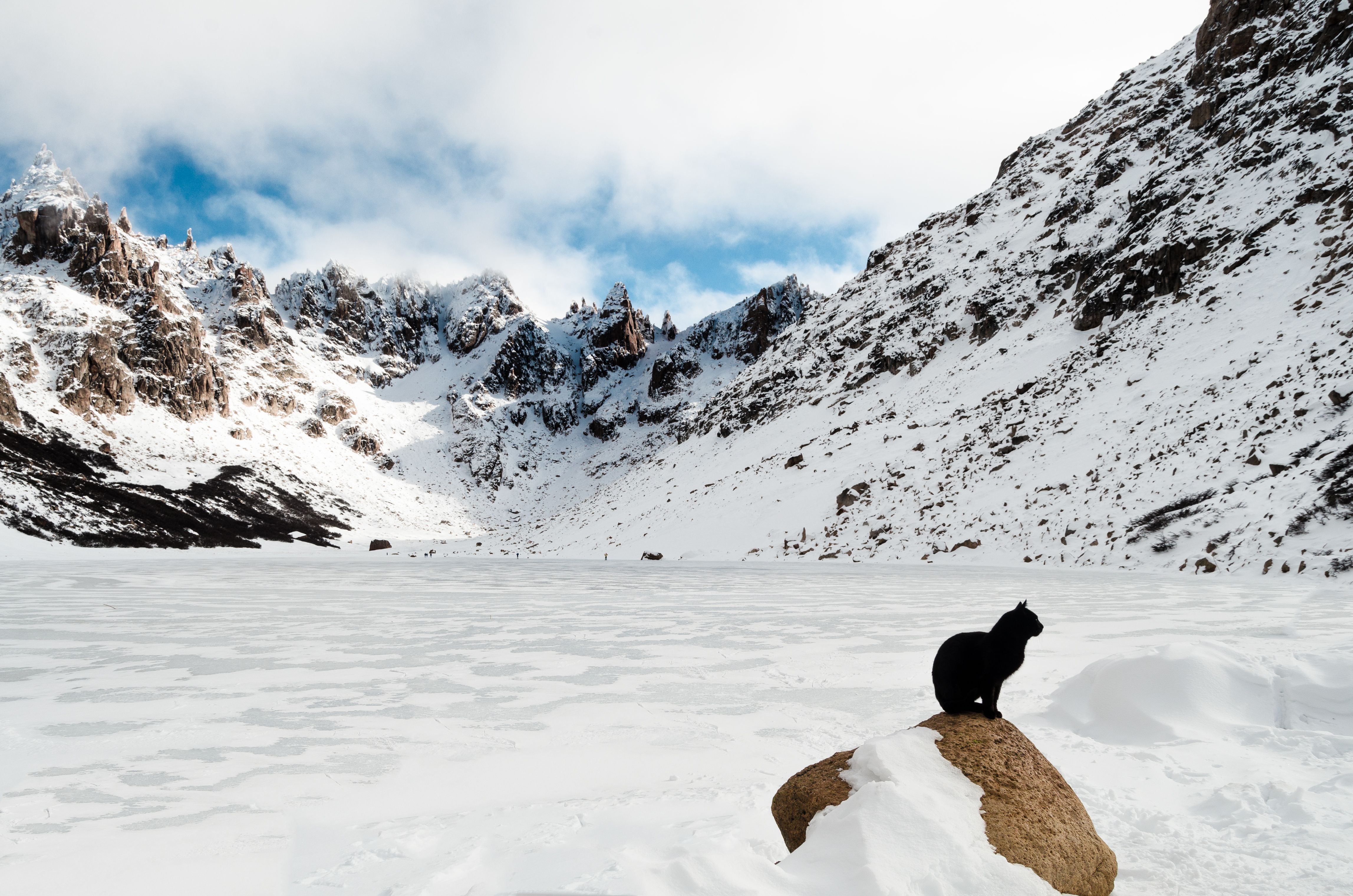 Montaña Cubierta De Nieve · Foto de stock gratuita