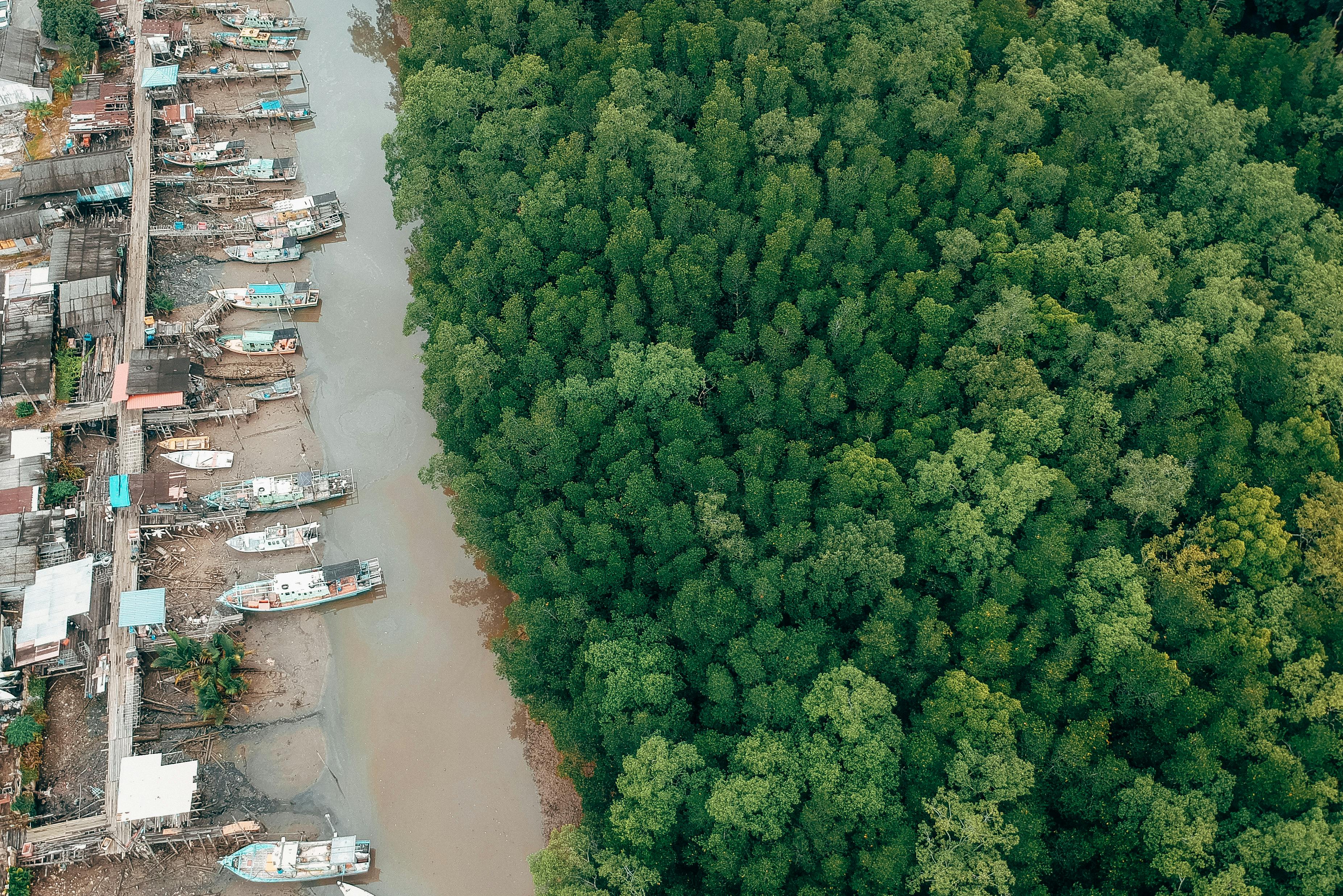 Aerial Shot Of River · Free Stock Photo