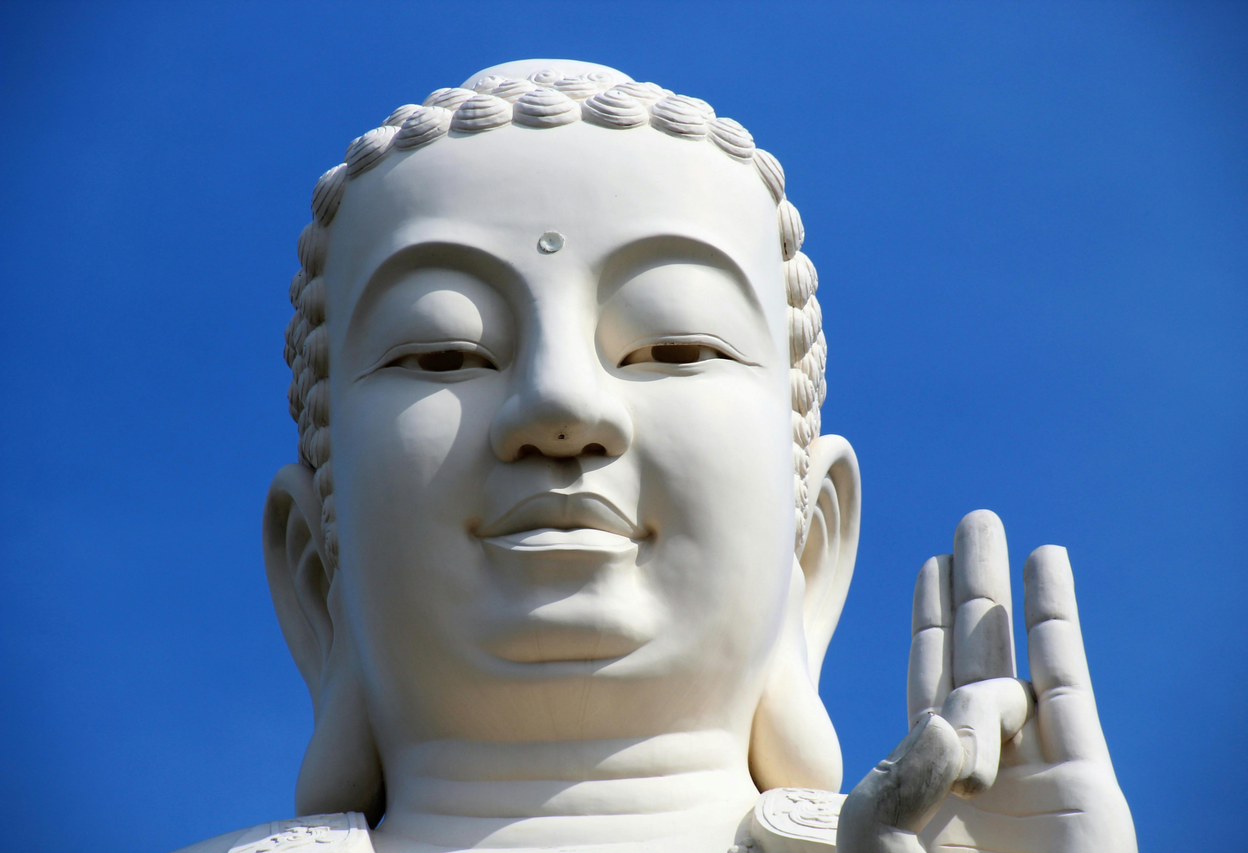 Free stock photo from Bettie · Pexels