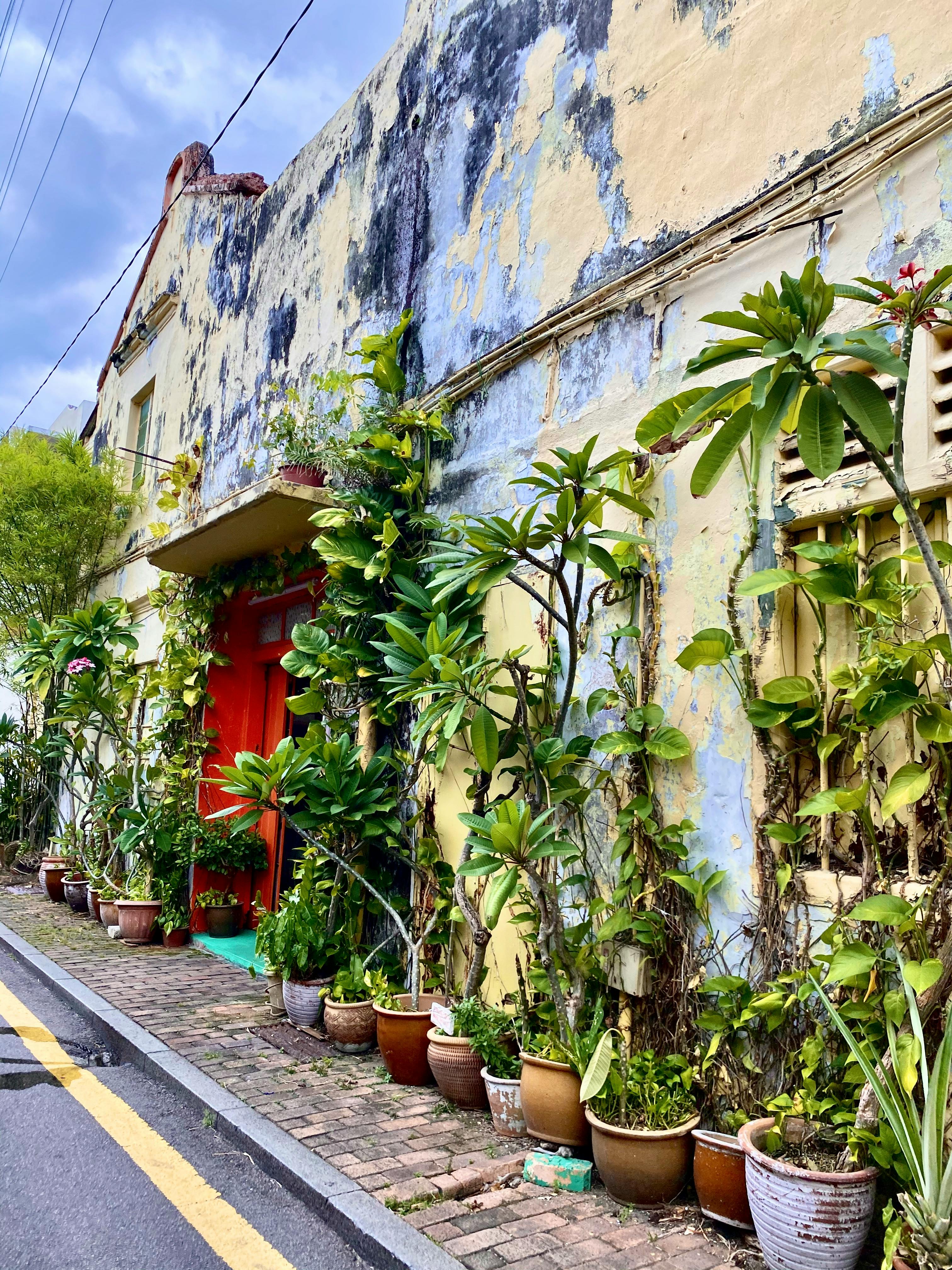 Green Potted Plants Outside An Old Building · Free Stock Photo
