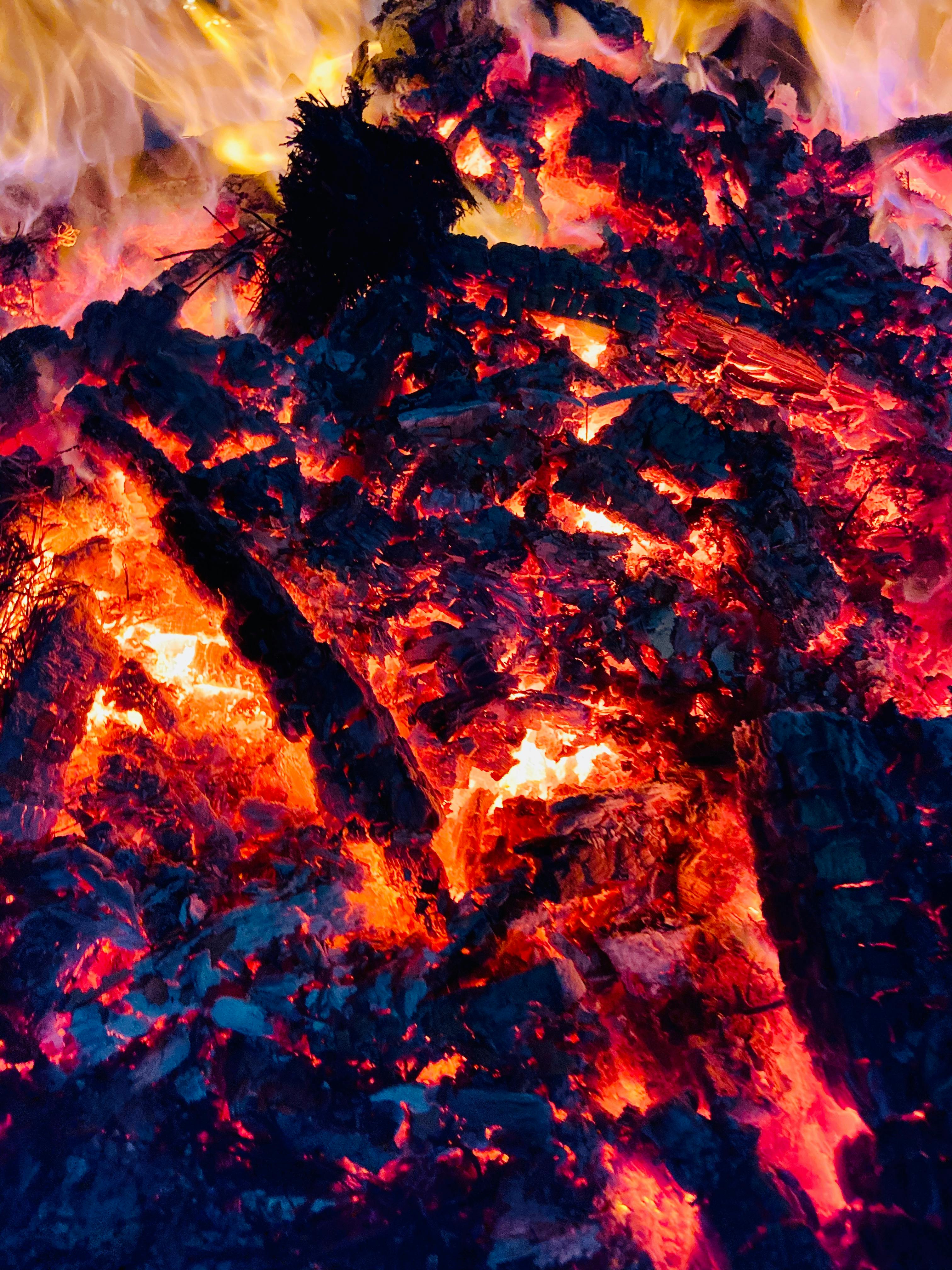 Bright hot fire of campfire with coals · Free Stock Photo