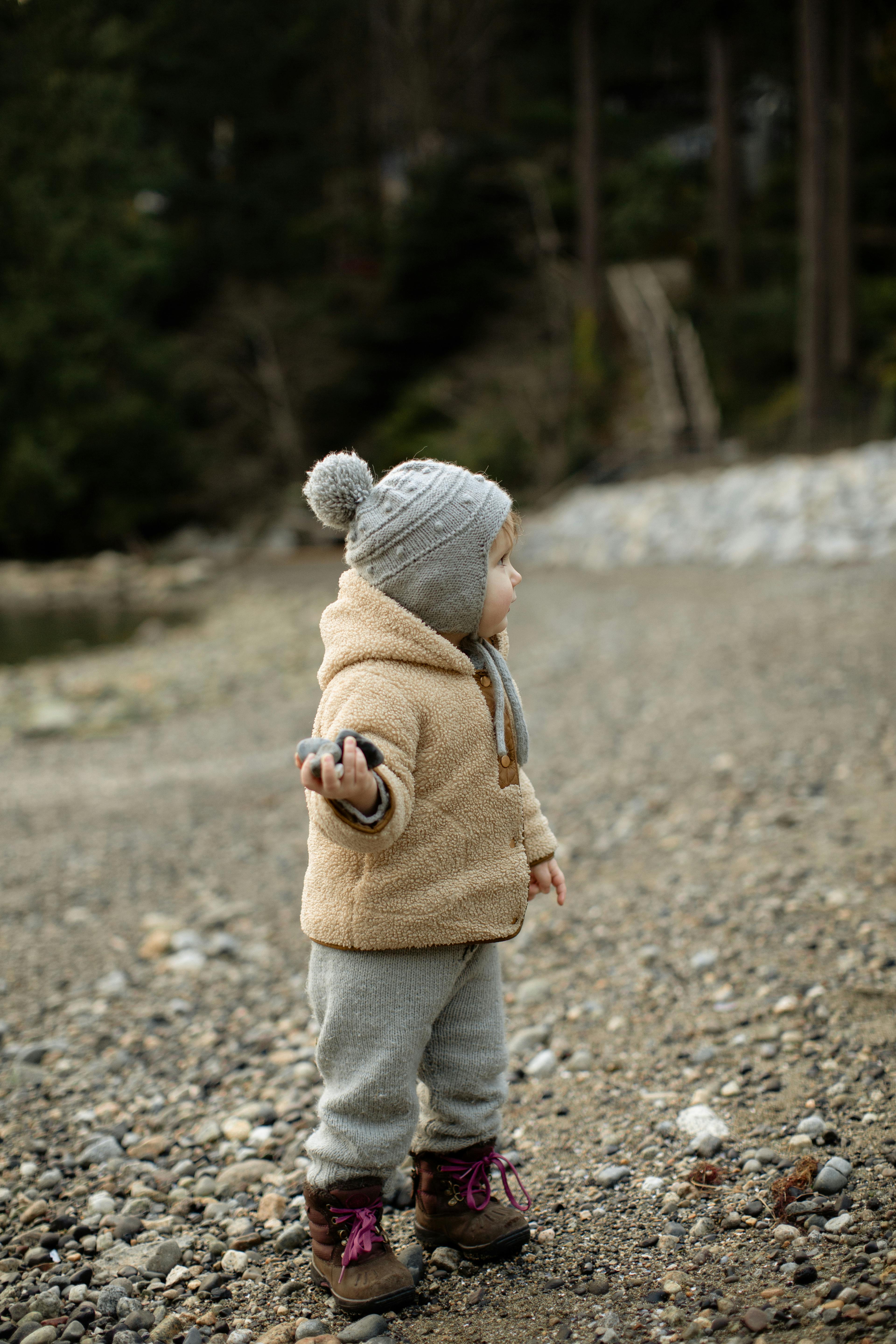 Free Fall Photos, Download The BEST Free Free Fall Stock Photos & HD Images