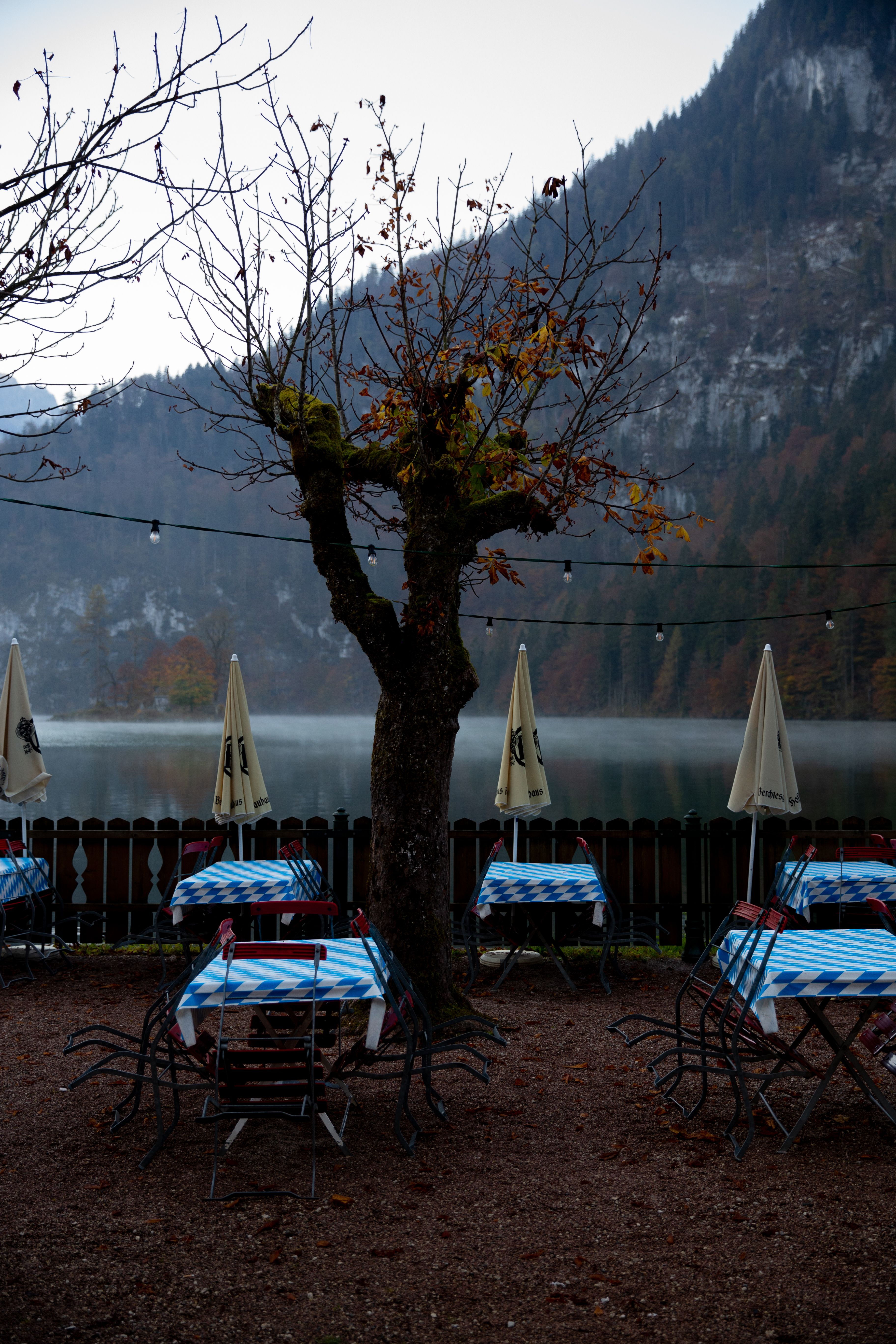 Empty terrace with tables near lake in overcast weather in autumn ...