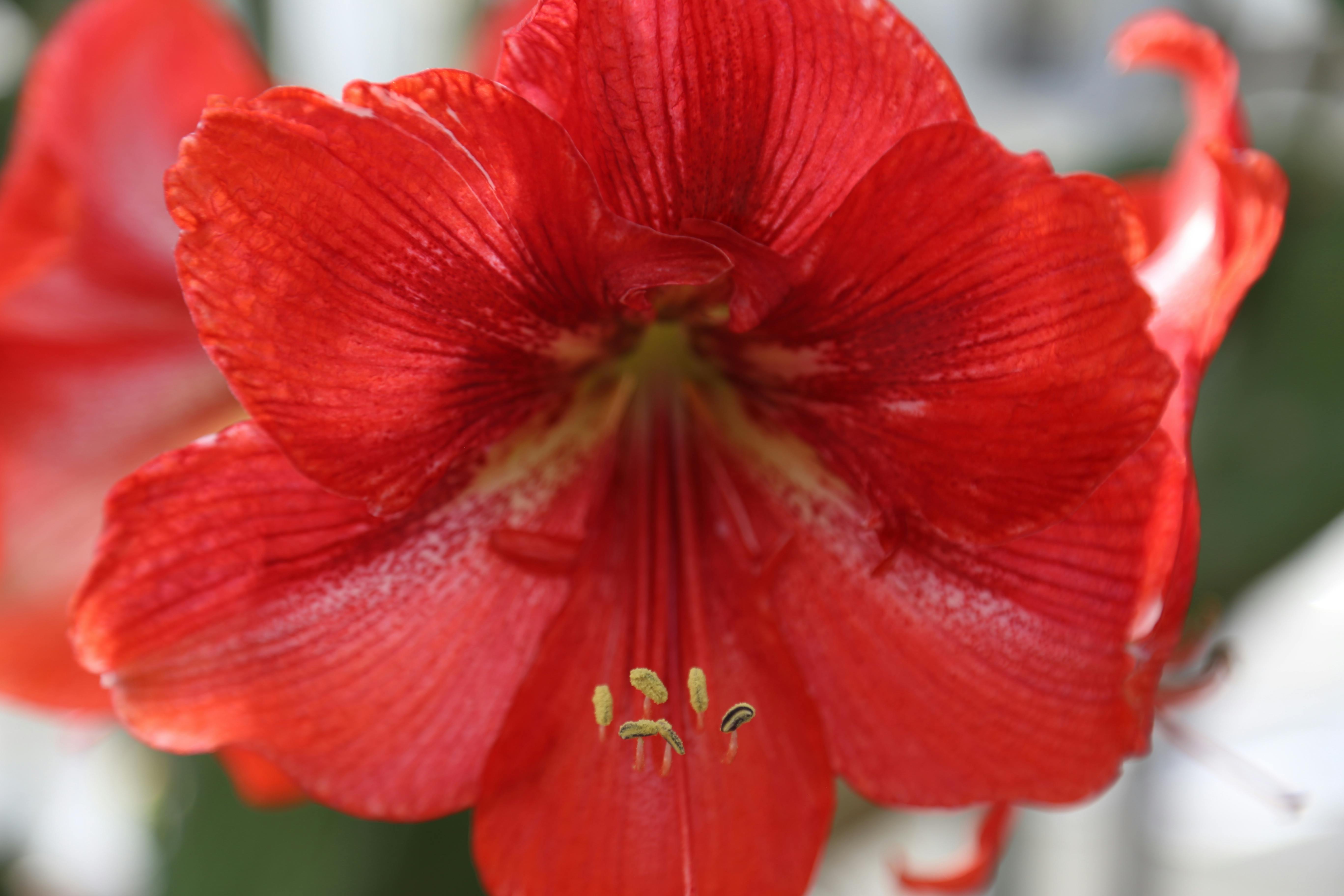 Barney Wood - 摄影