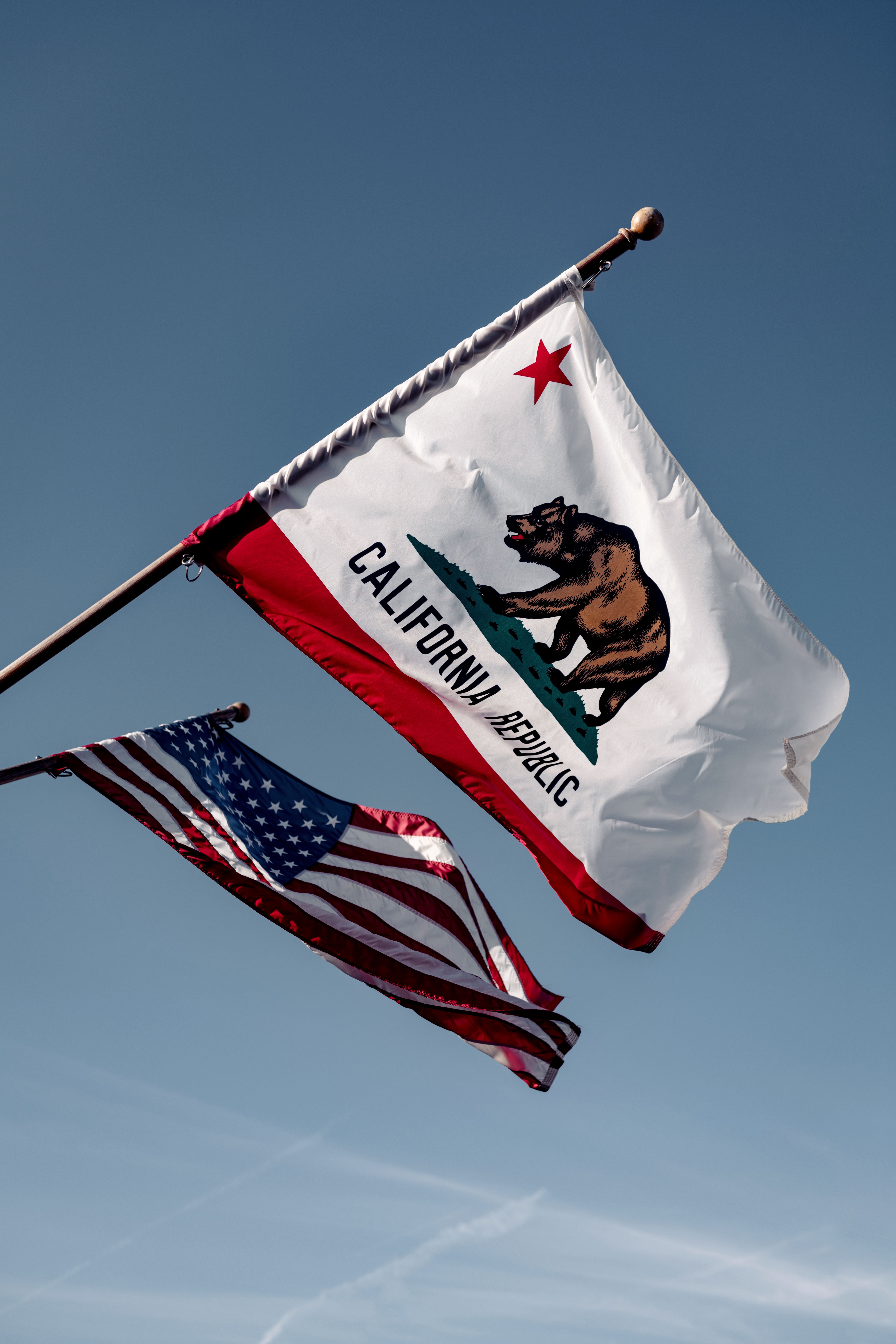 Bear Flag Photos, Download The BEST Free Bear Flag Stock Photos & HD Images