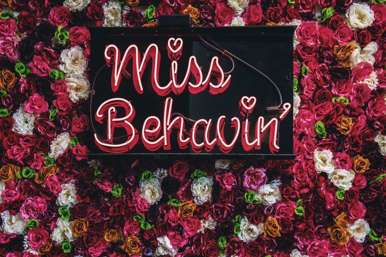 200+张最精彩的“Miss”图片 · 100%免费下载 · Pexels素材图片