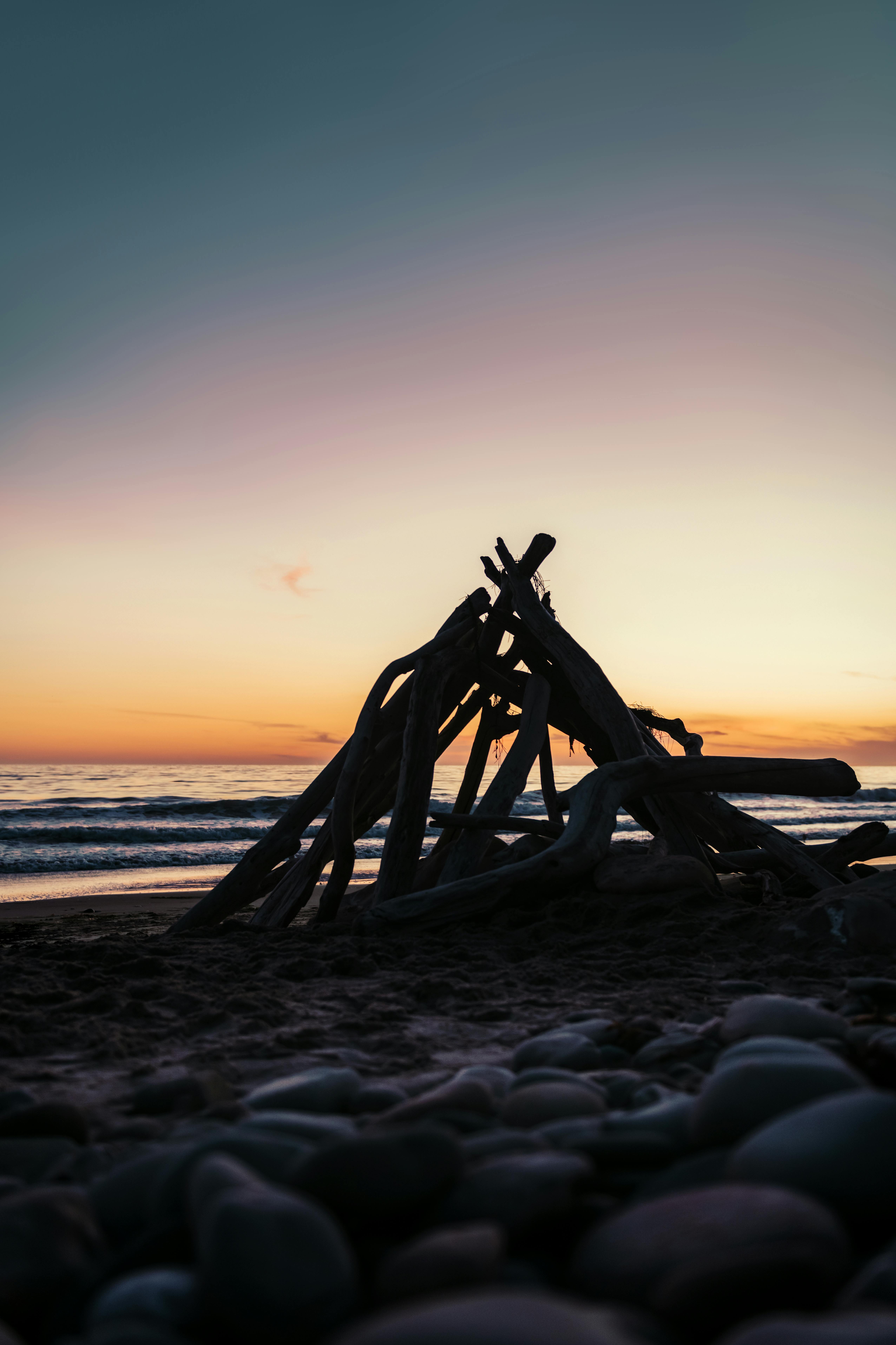 Brown Wooden Tree Trunk on Beach during Sunset · Free Stock Photo