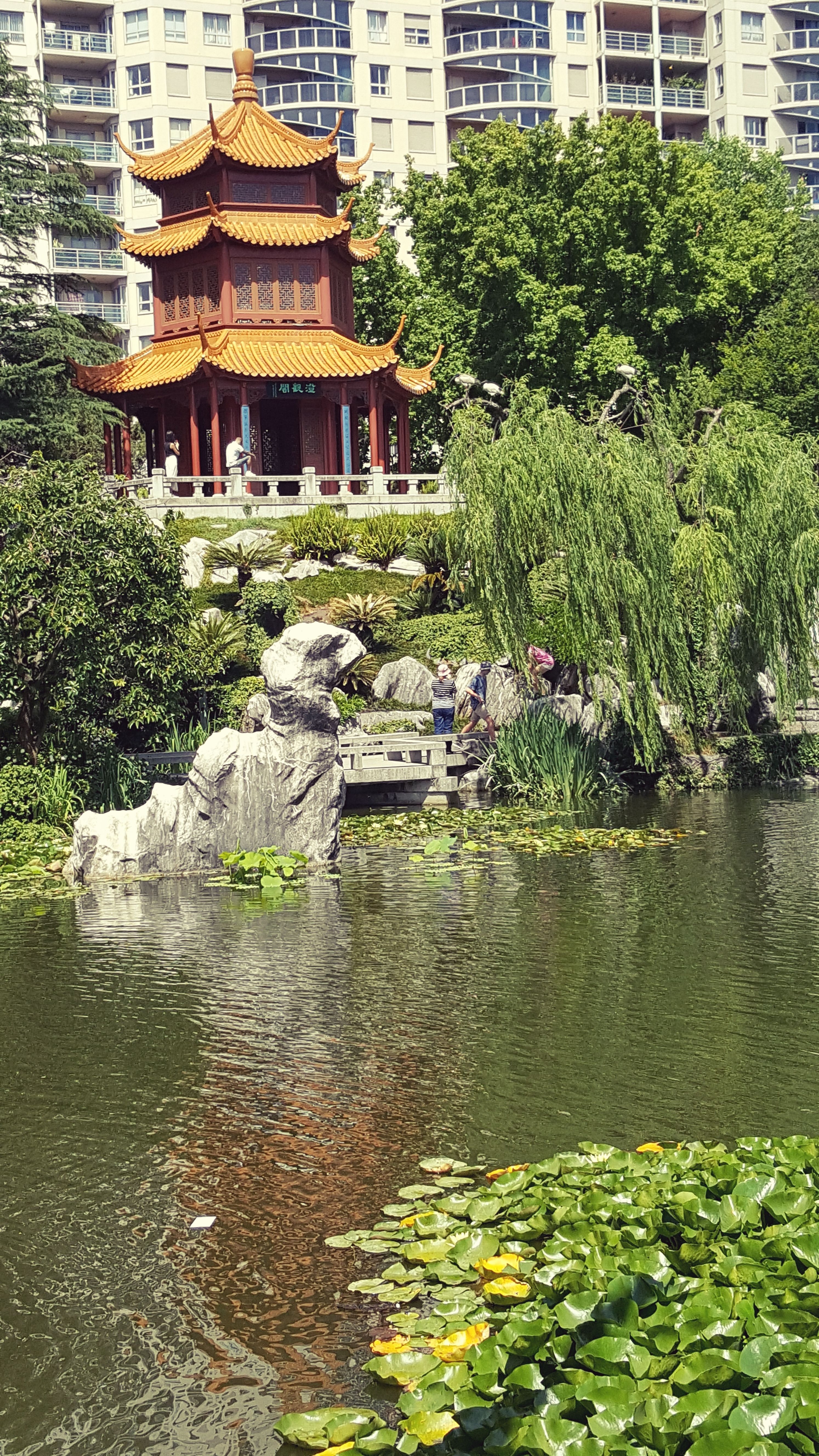 Free stock photo of Chinese Gardens