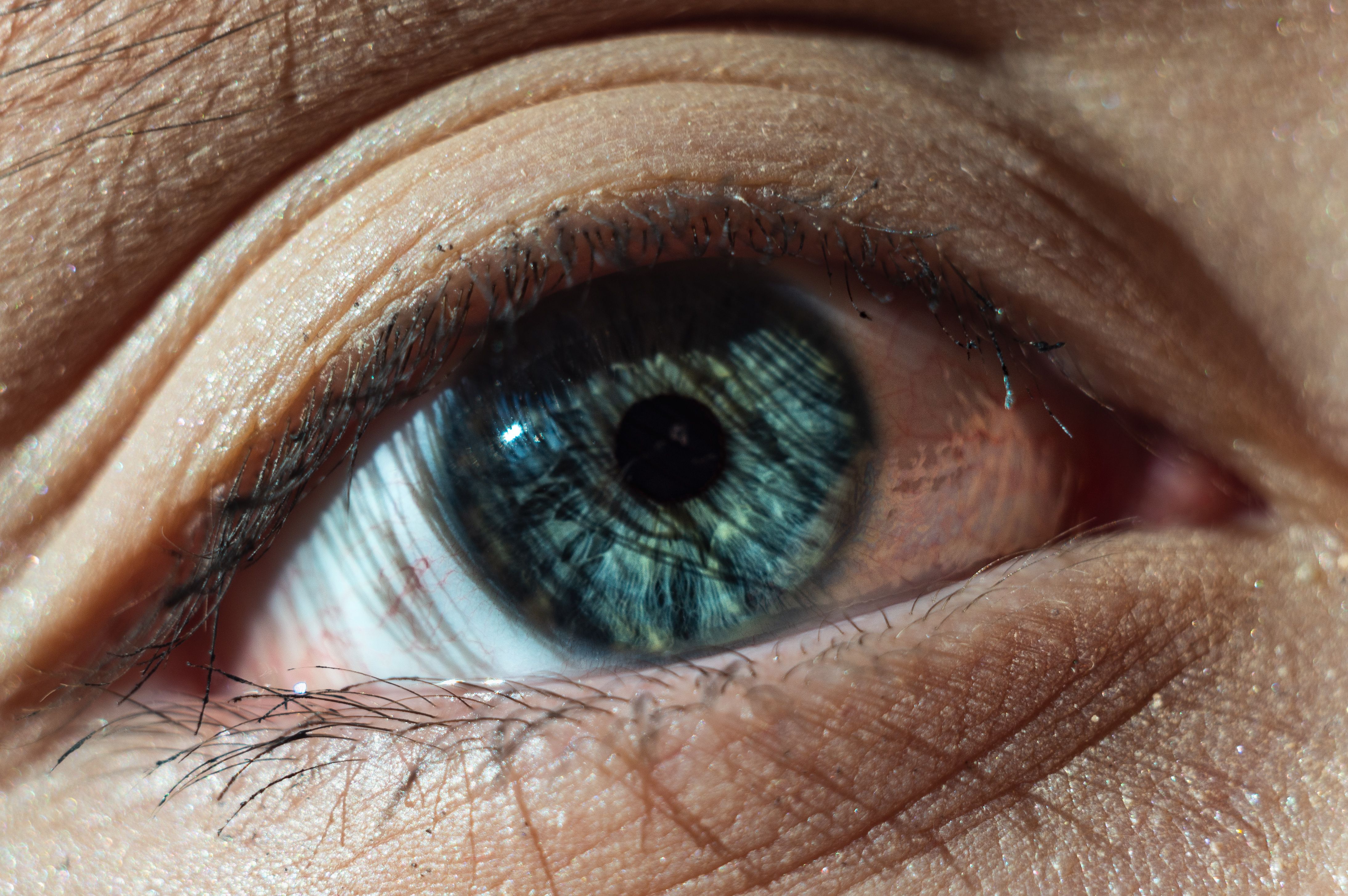 Eye Liner Photos, Download The BEST Free Eye Liner Stock Photos & HD Images