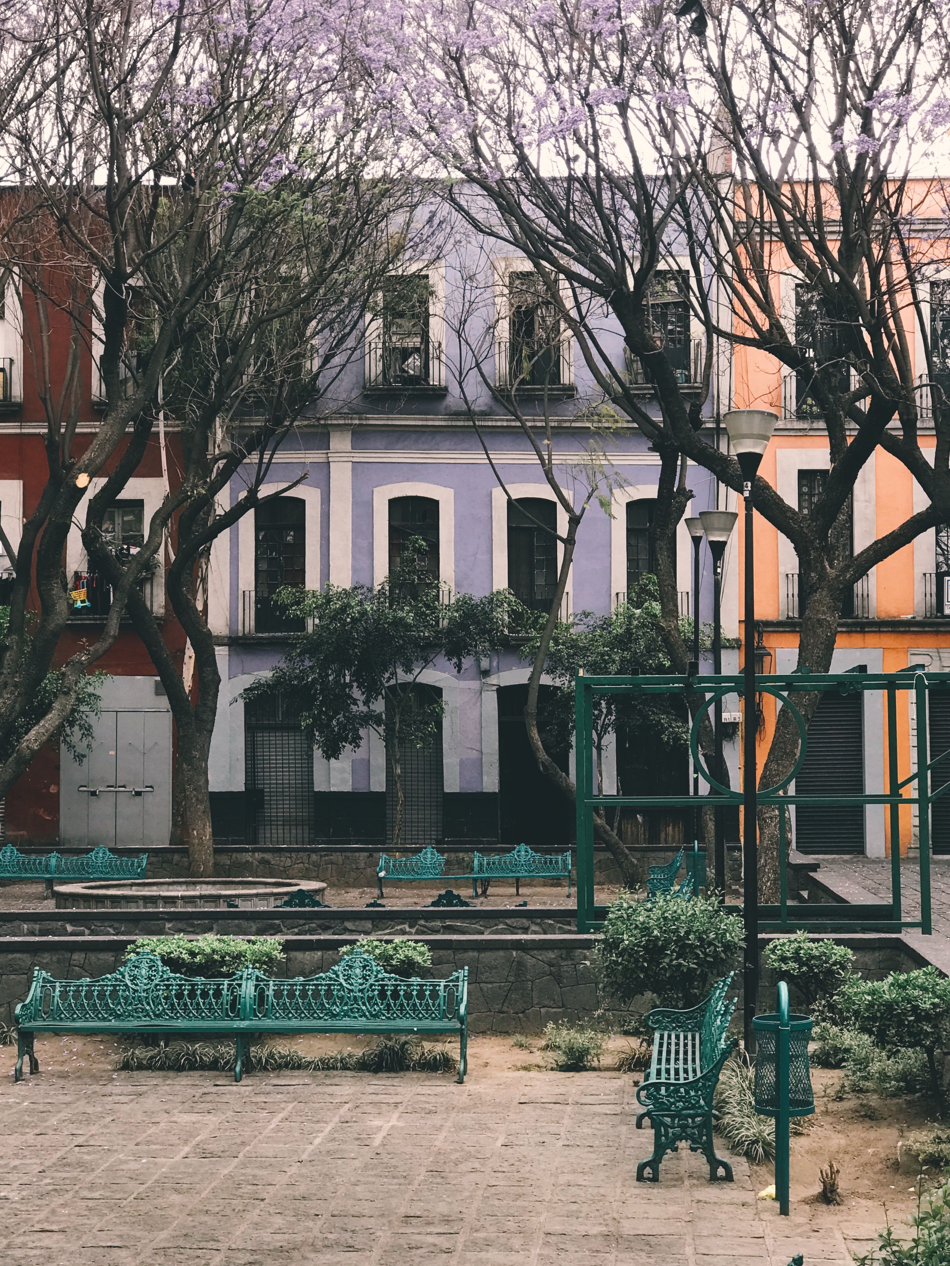 Exterior De Plaza Moderna Con árboles Cerca De Edificios · Foto de ...