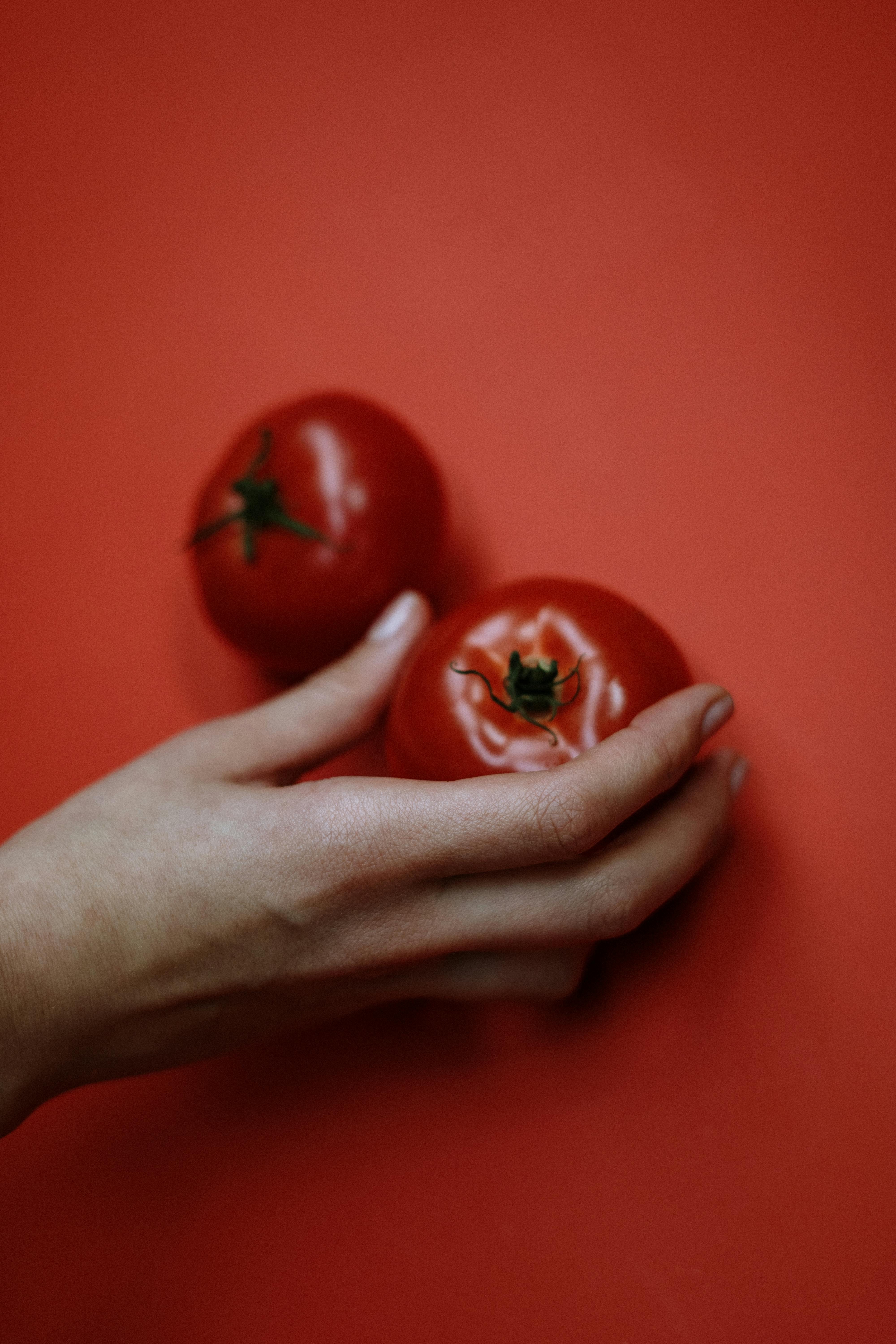 Person Holding Two Red Tomato · Free Stock Photo