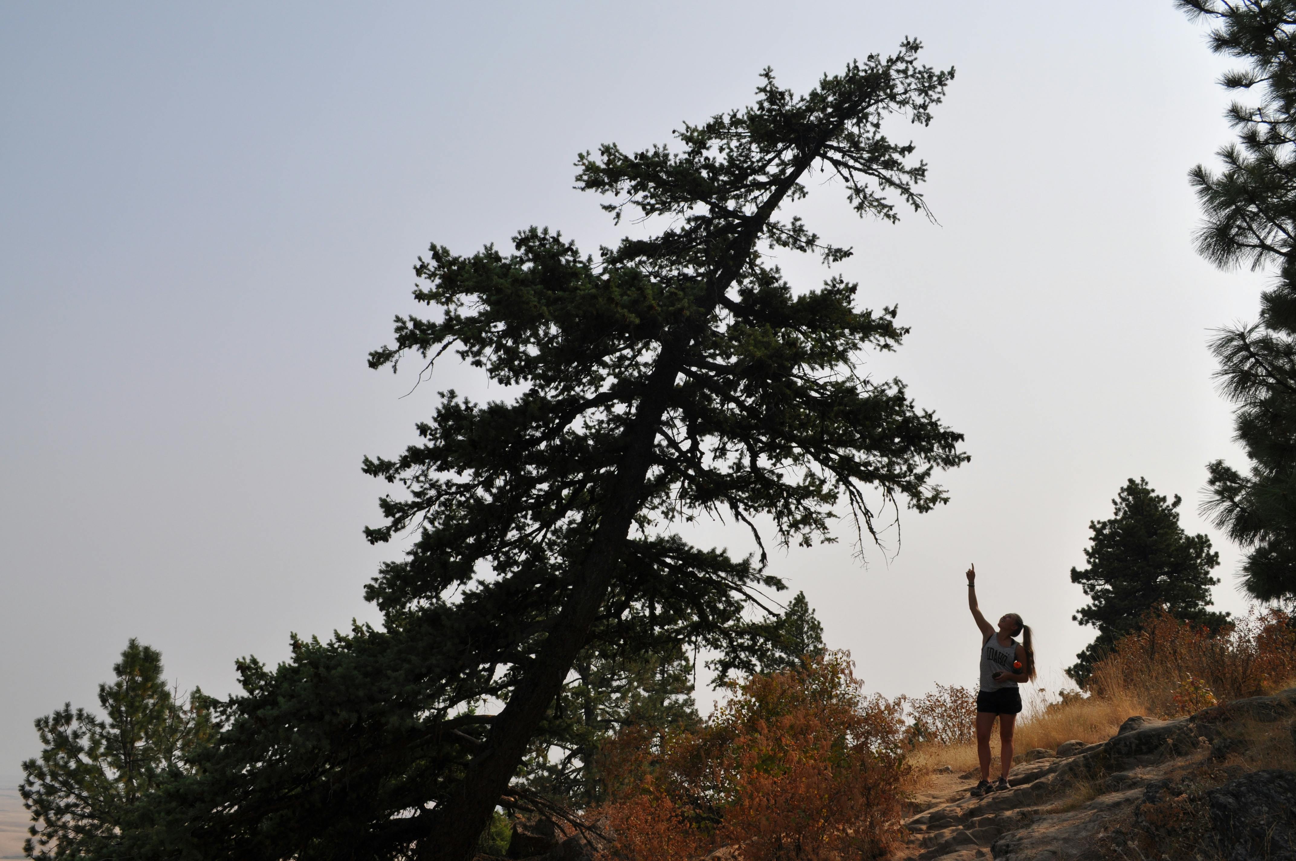 Woman Standing Near Tree · Free Stock Photo