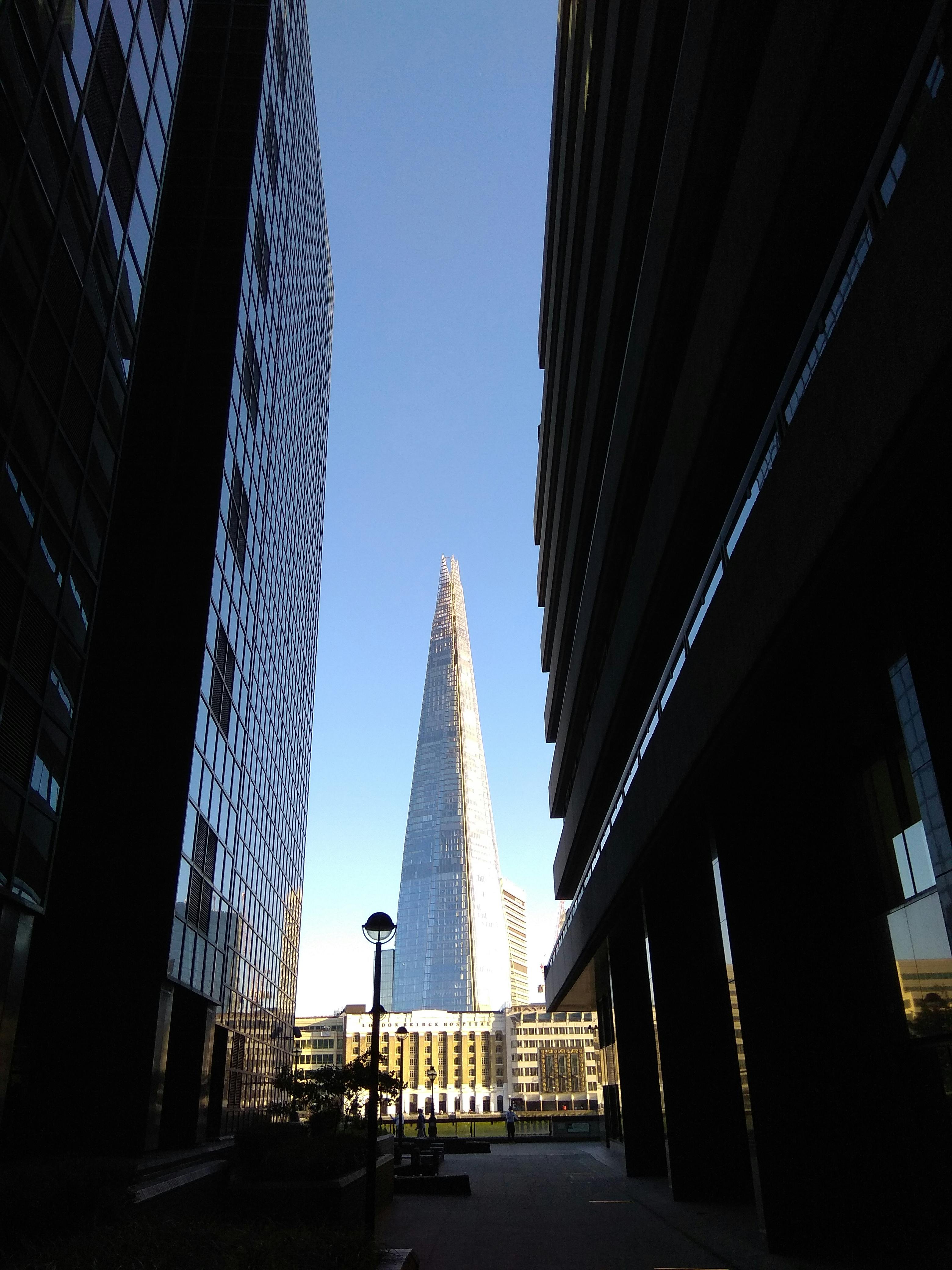 High Rise Building · Free Stock Photo