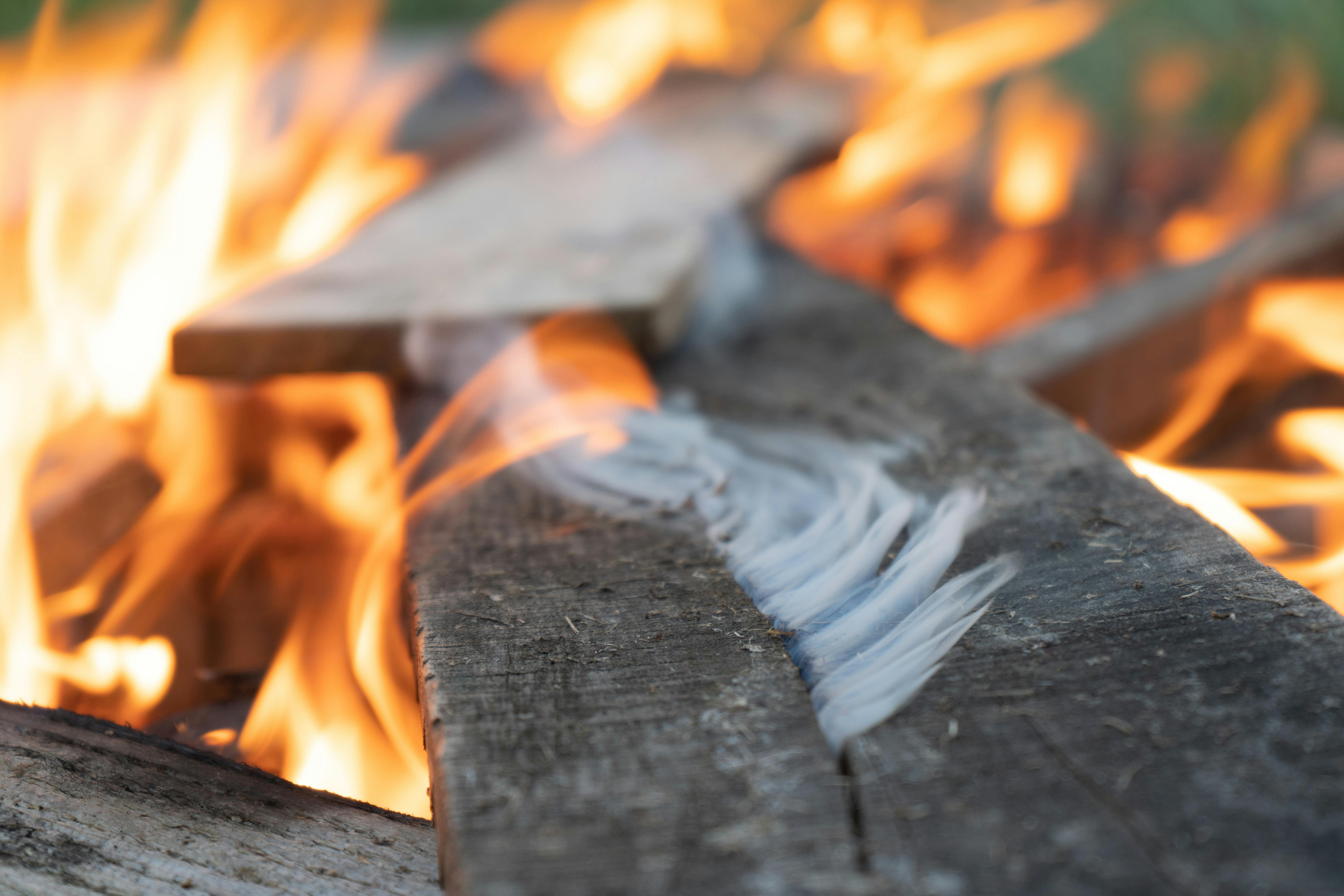 Kyle Killam - Photography