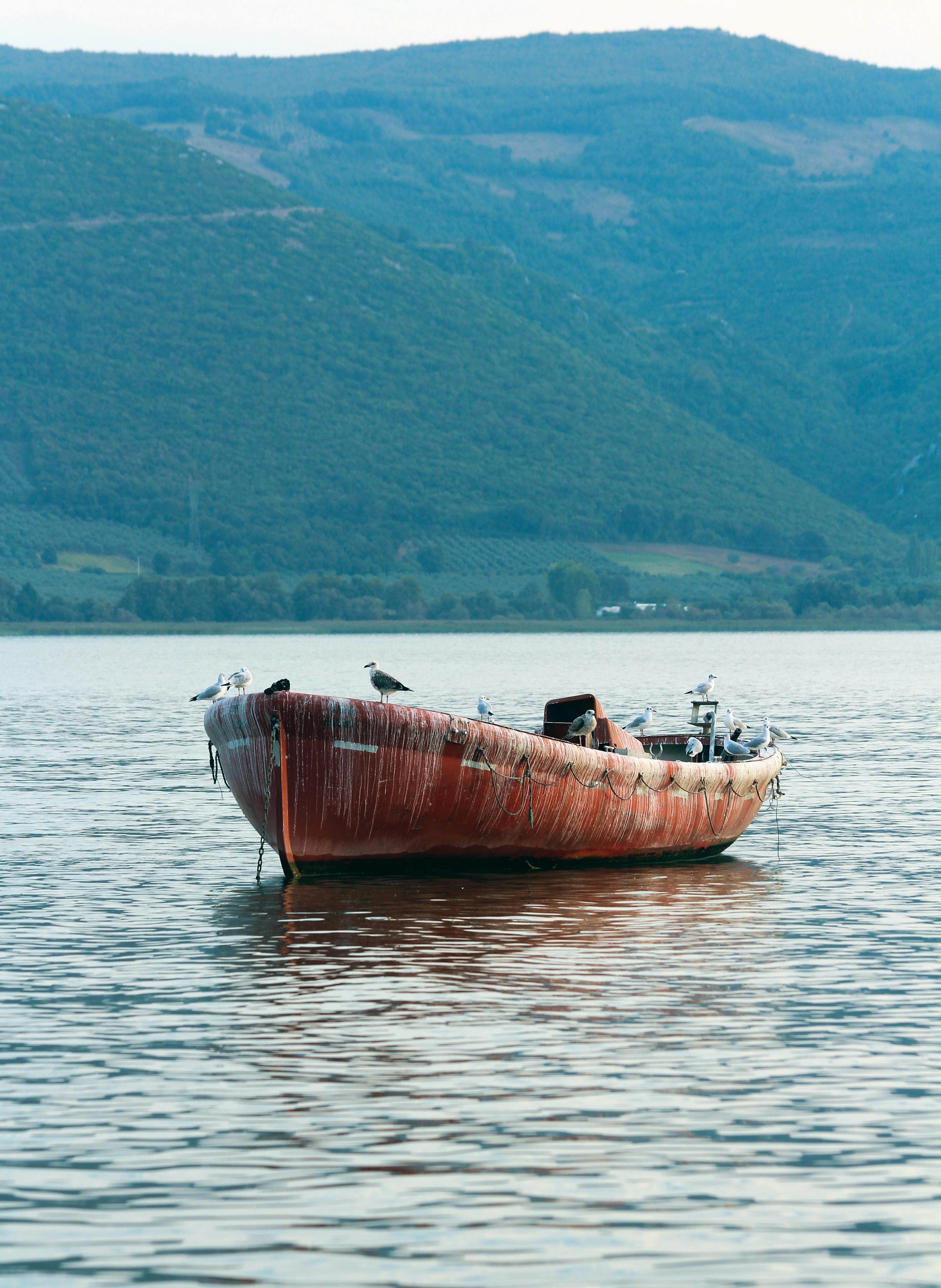 Rusty Boat On Body Of Water · Free Stock Photo