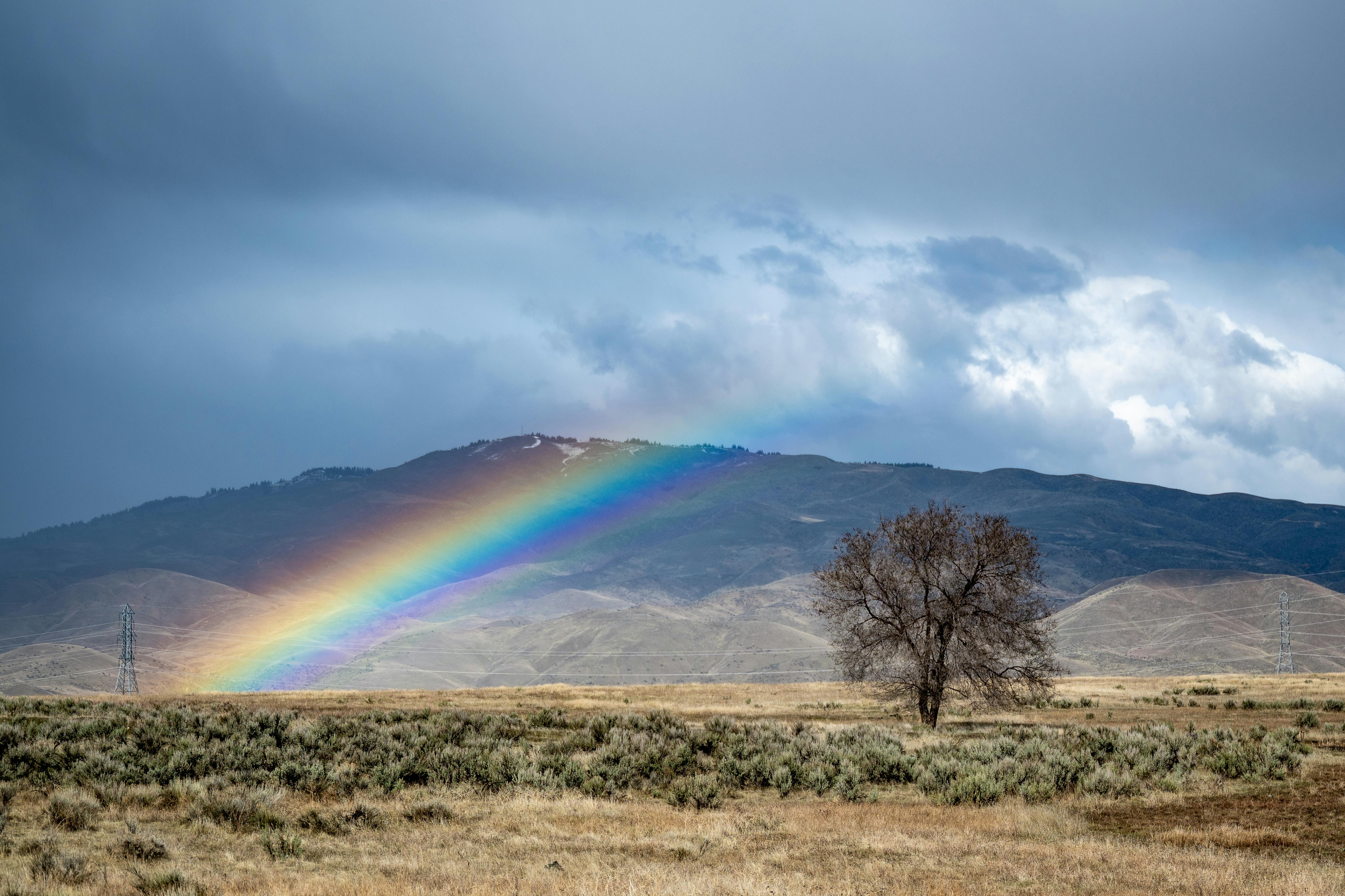 Rainbow Over Grass Field · Free Stock Photo