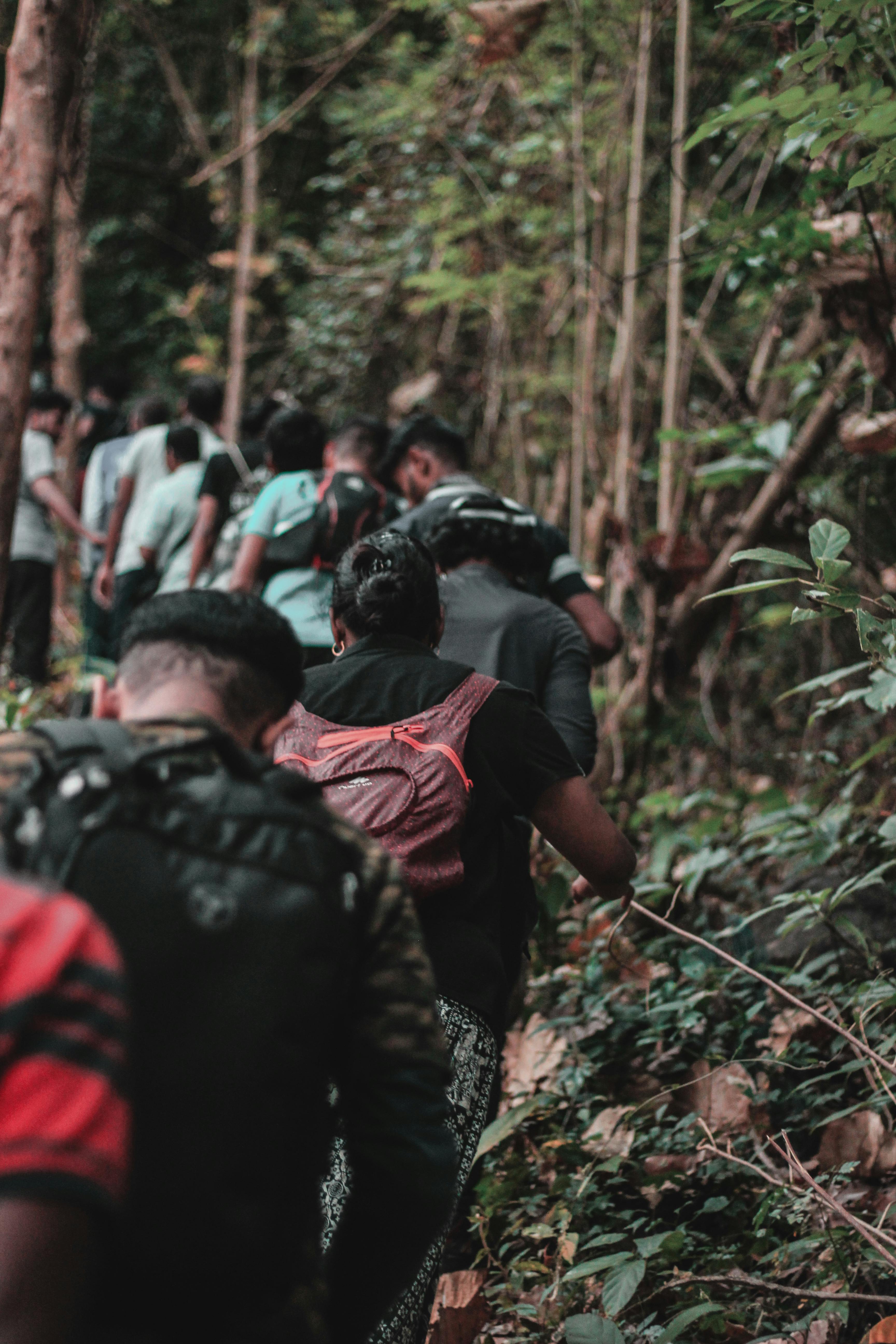 Line Of Action Photos, Download The BEST Free Line Of Action Stock ...