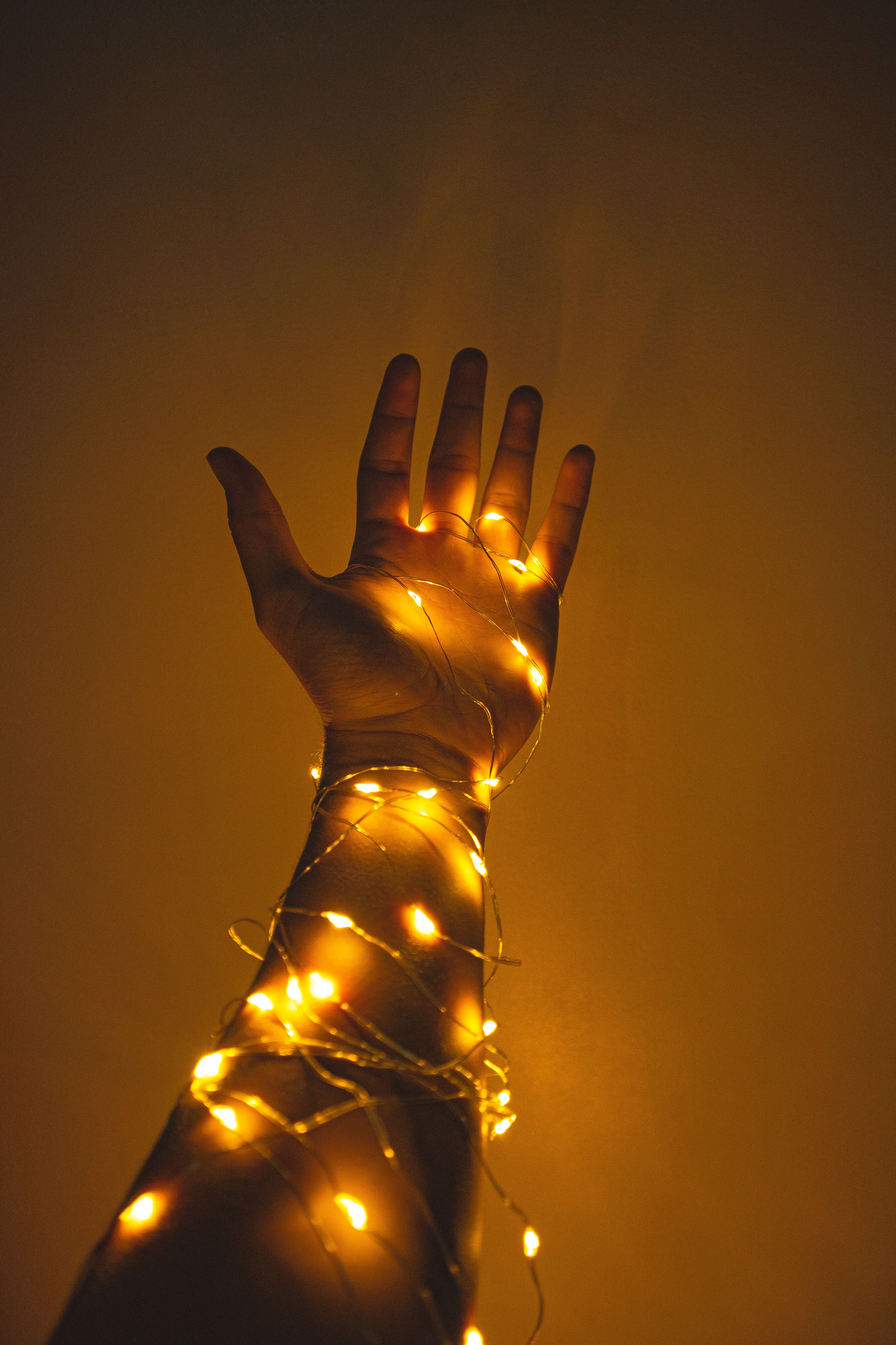 Person's Hand Wrapped in String Lights · Free Stock Photo