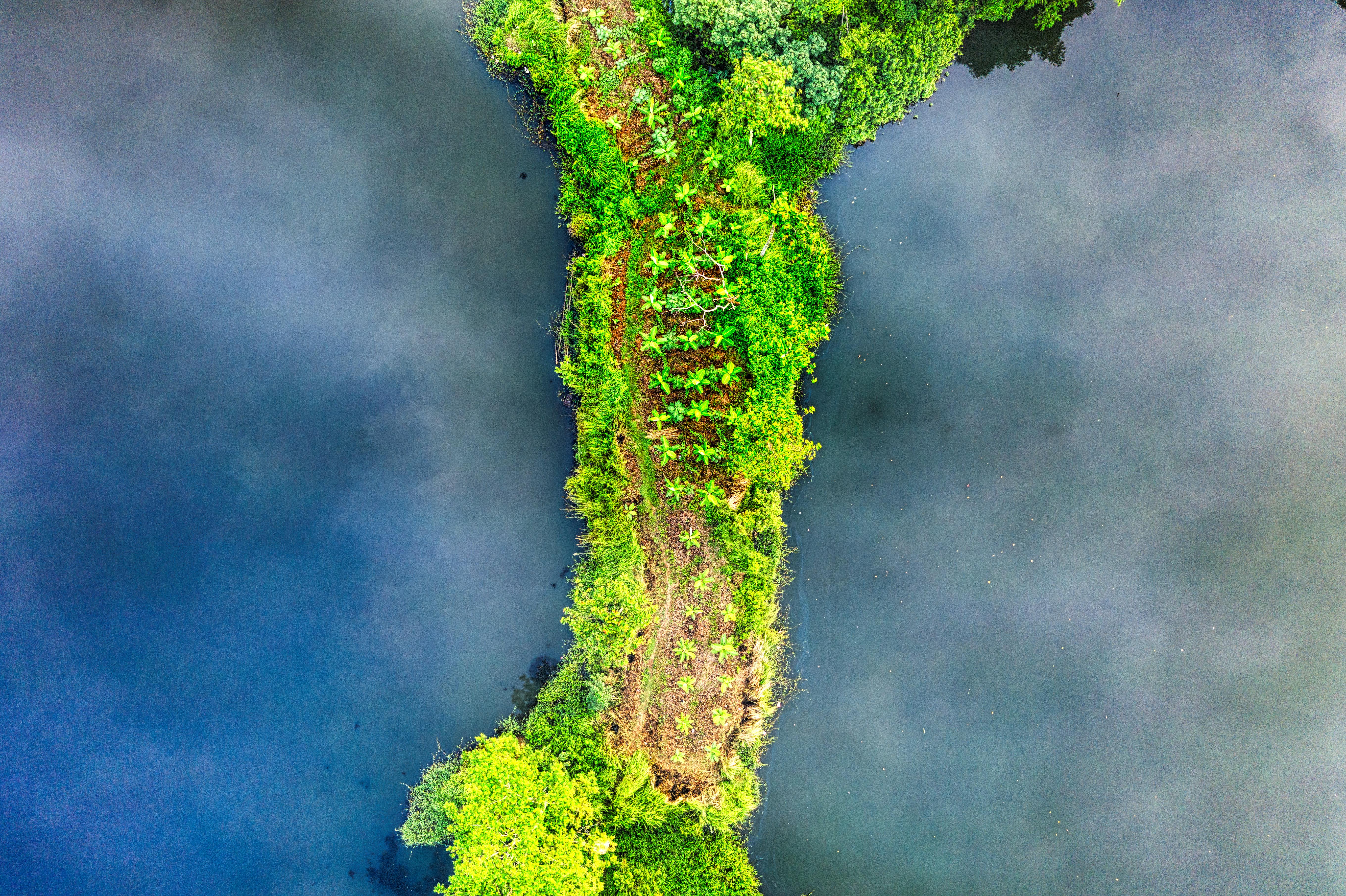 Aerial Shot Of River · Free Stock Photo