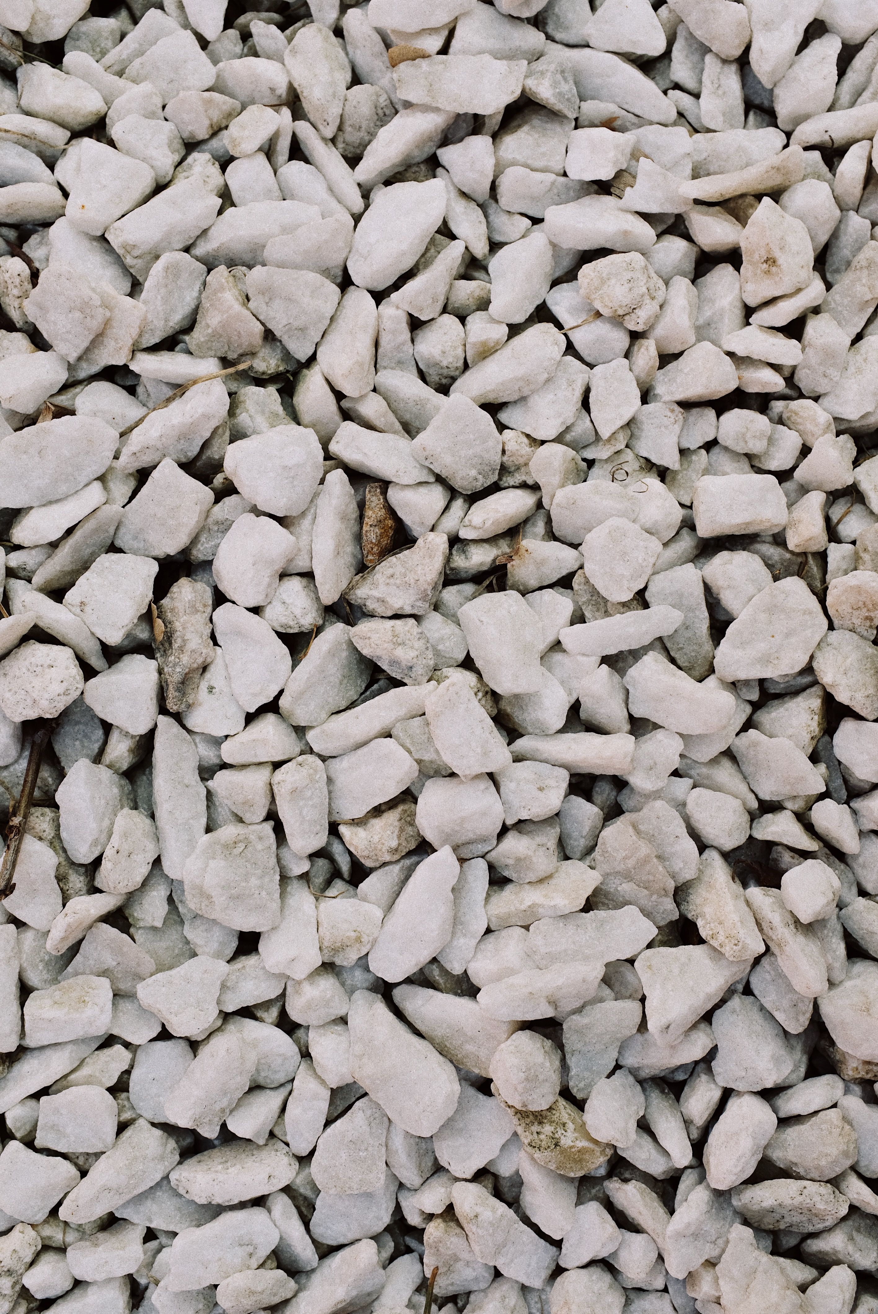 Bunch of white pebbles on ground · Free Stock Photo